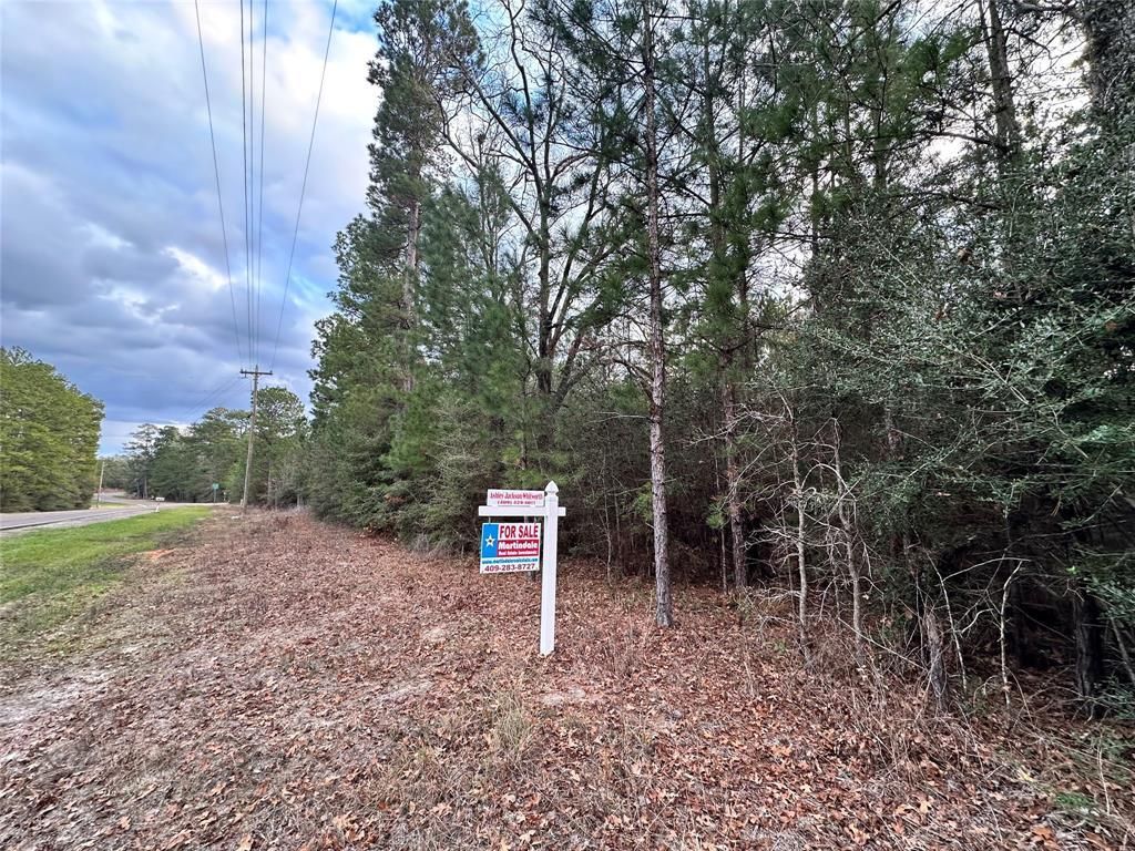 FM 256, Colmesneil, TX 75938 | MLS: 29361344 | LandWatch