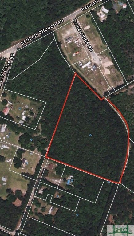 229 Red Bird Lane, Pembroke, GA 31321 | MLS: 283211 | LandWatch