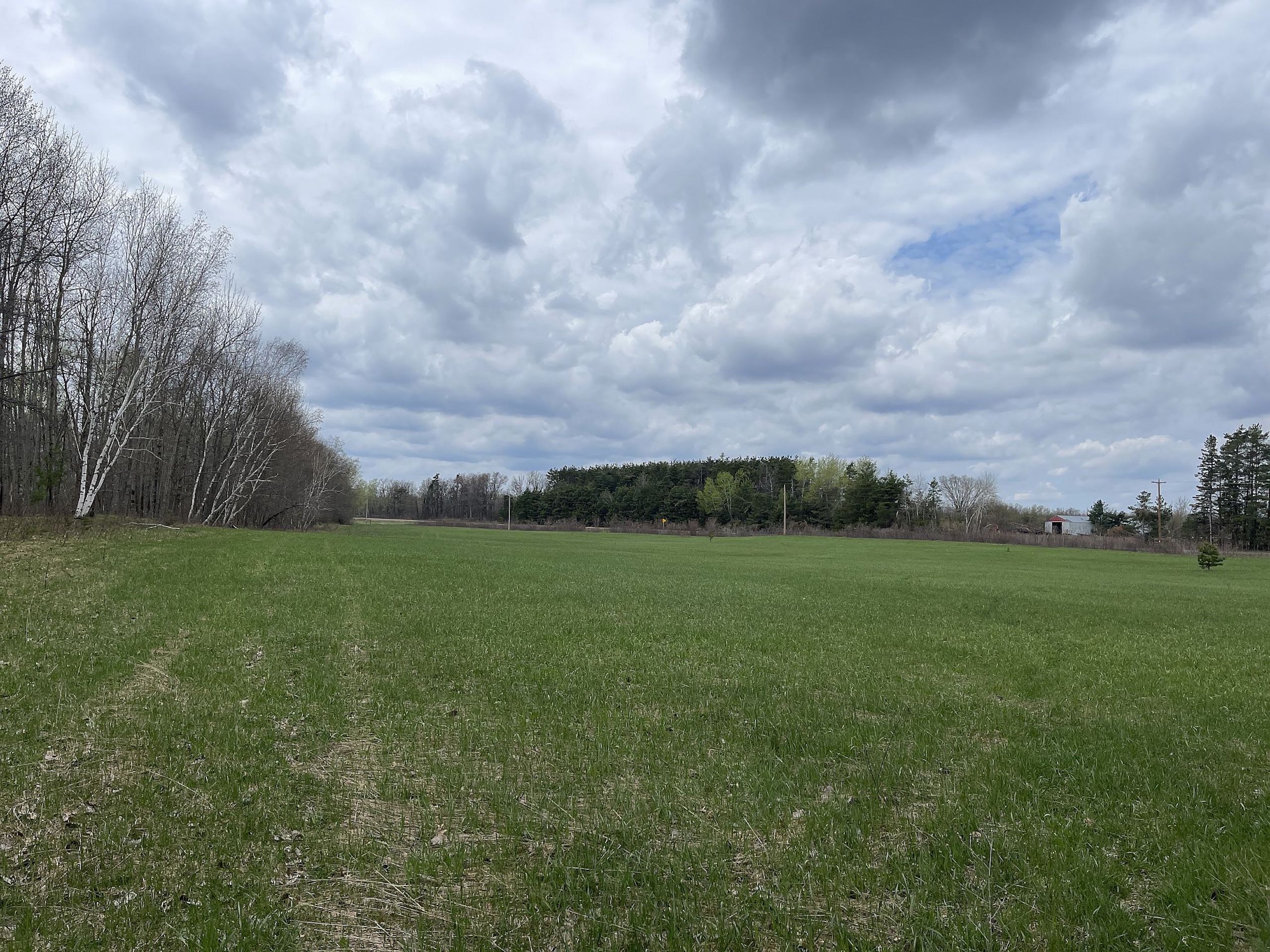 Nelson Road, Danbury, WI 54830 | LandWatch
