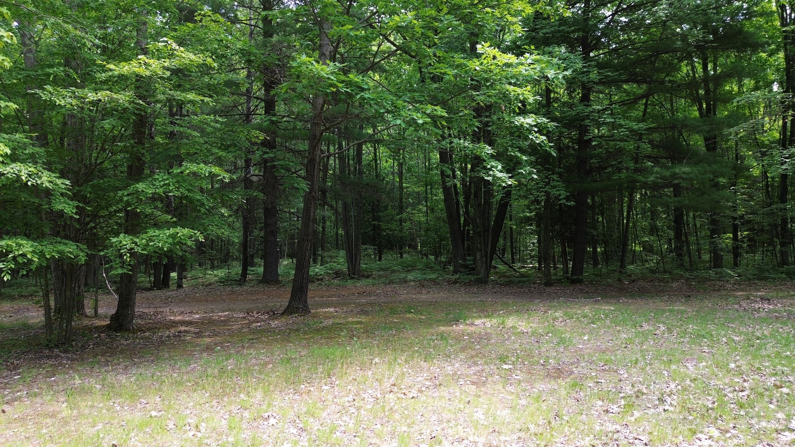 VL Estey Road, Lot# WP001, Rhodes, MI 48652 | LandWatch