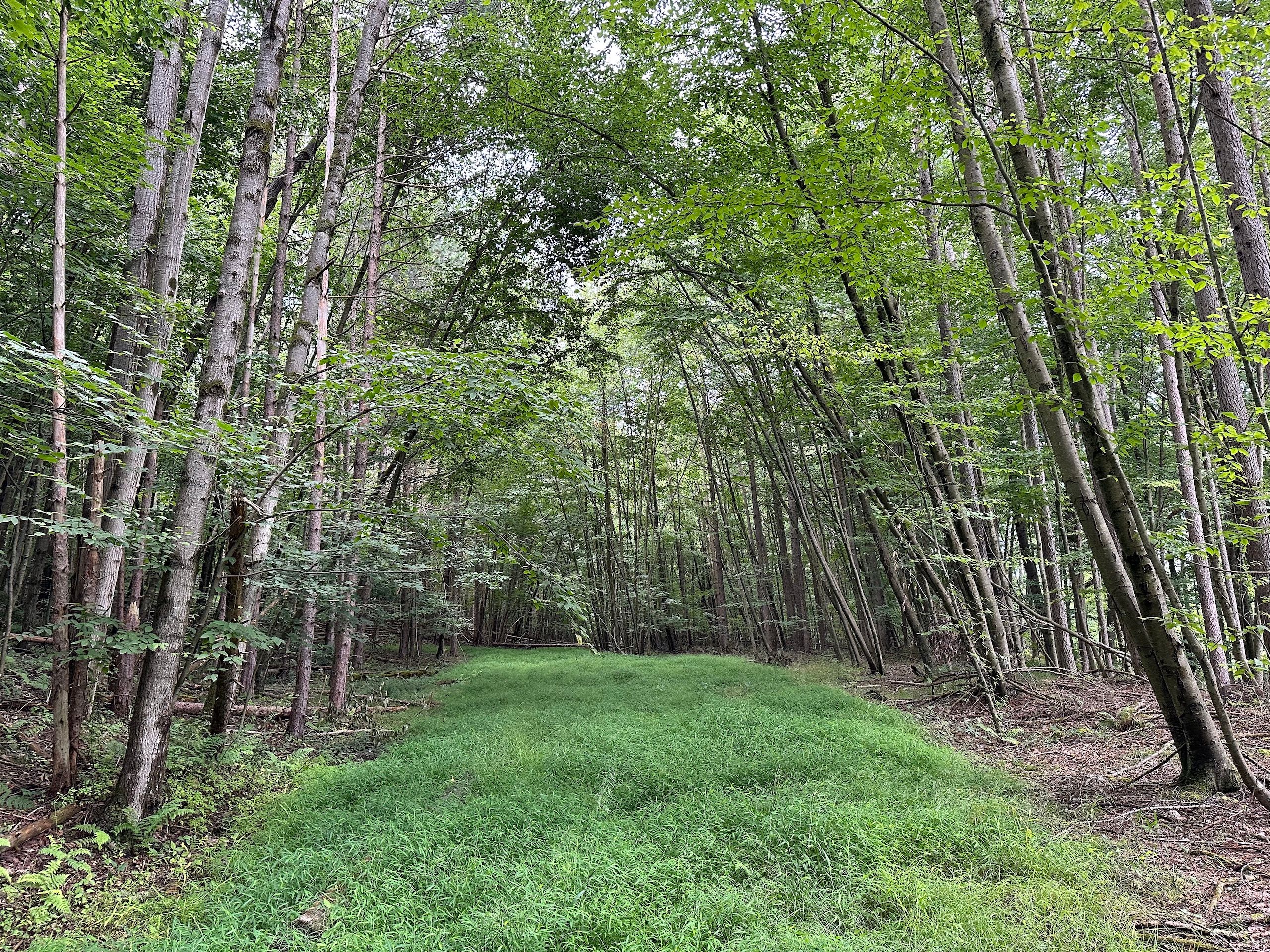 Carnes School Road, Lot#WP001, Cranberry, PA 16319 | LandWatch