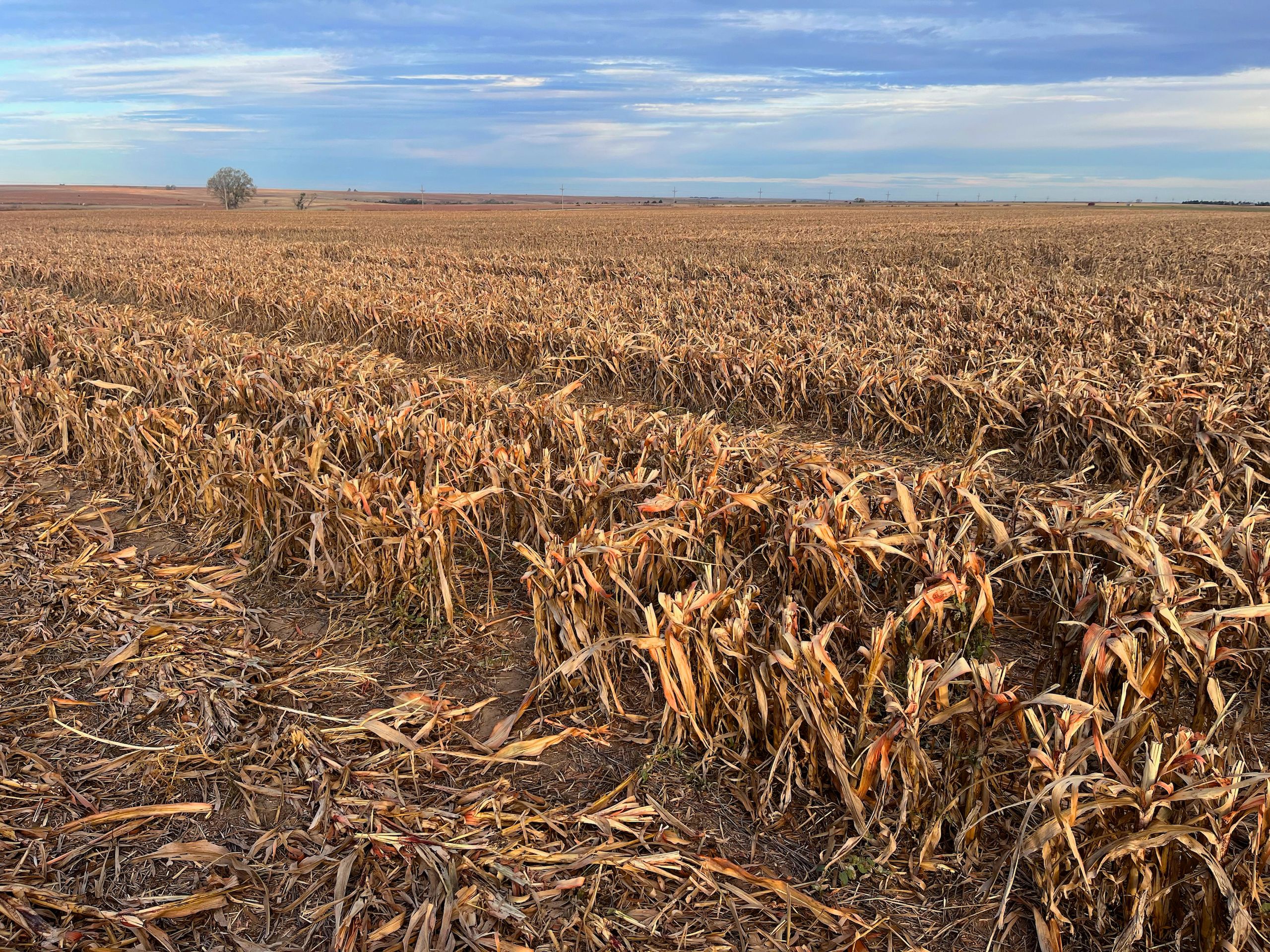 County Road 390 And Avenue B, Lot#WP001, Otis, KS 67565 | LandWatch