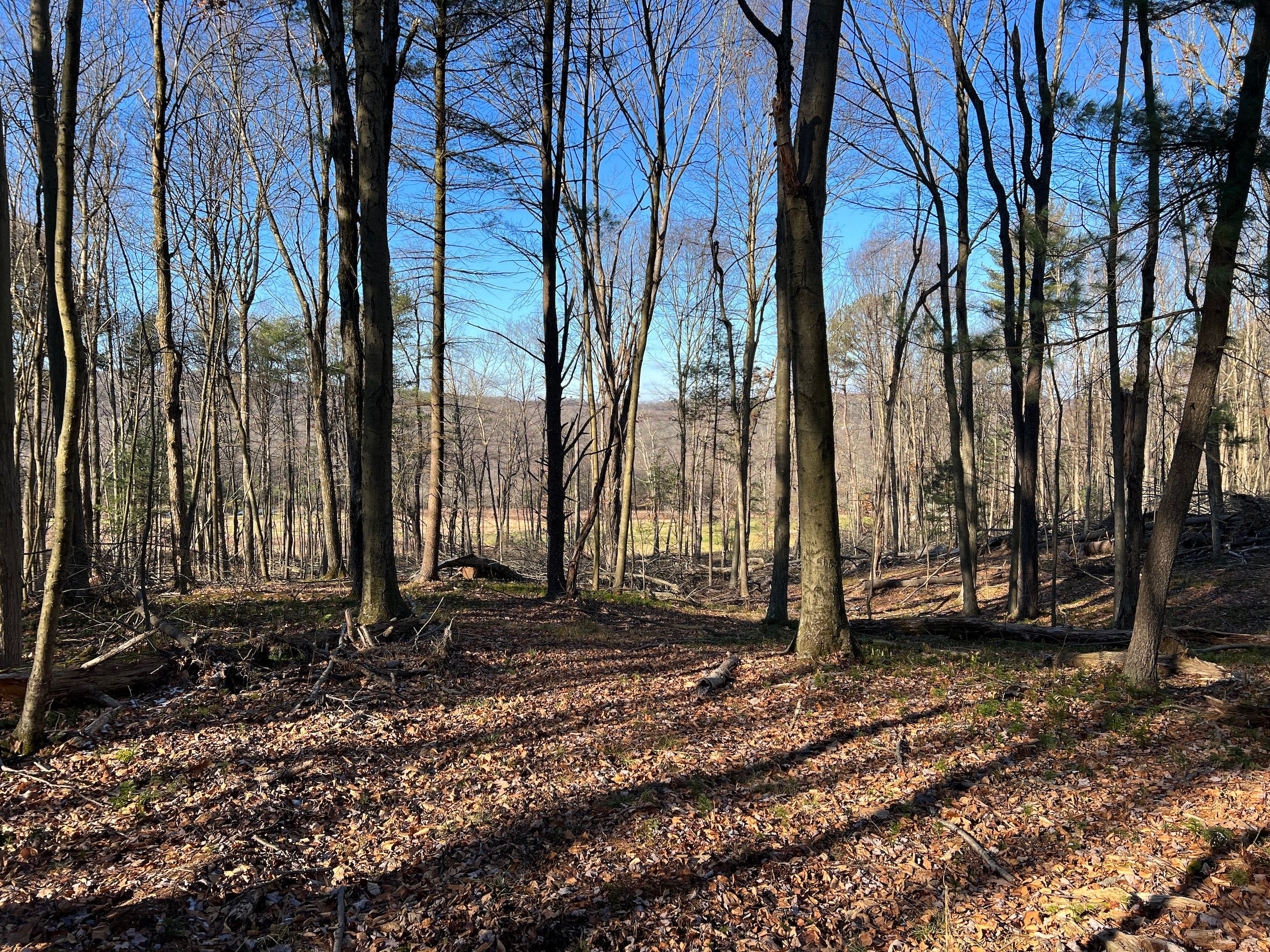 Burns Road, Lot#WP001, Venus, PA 16364 | LandWatch