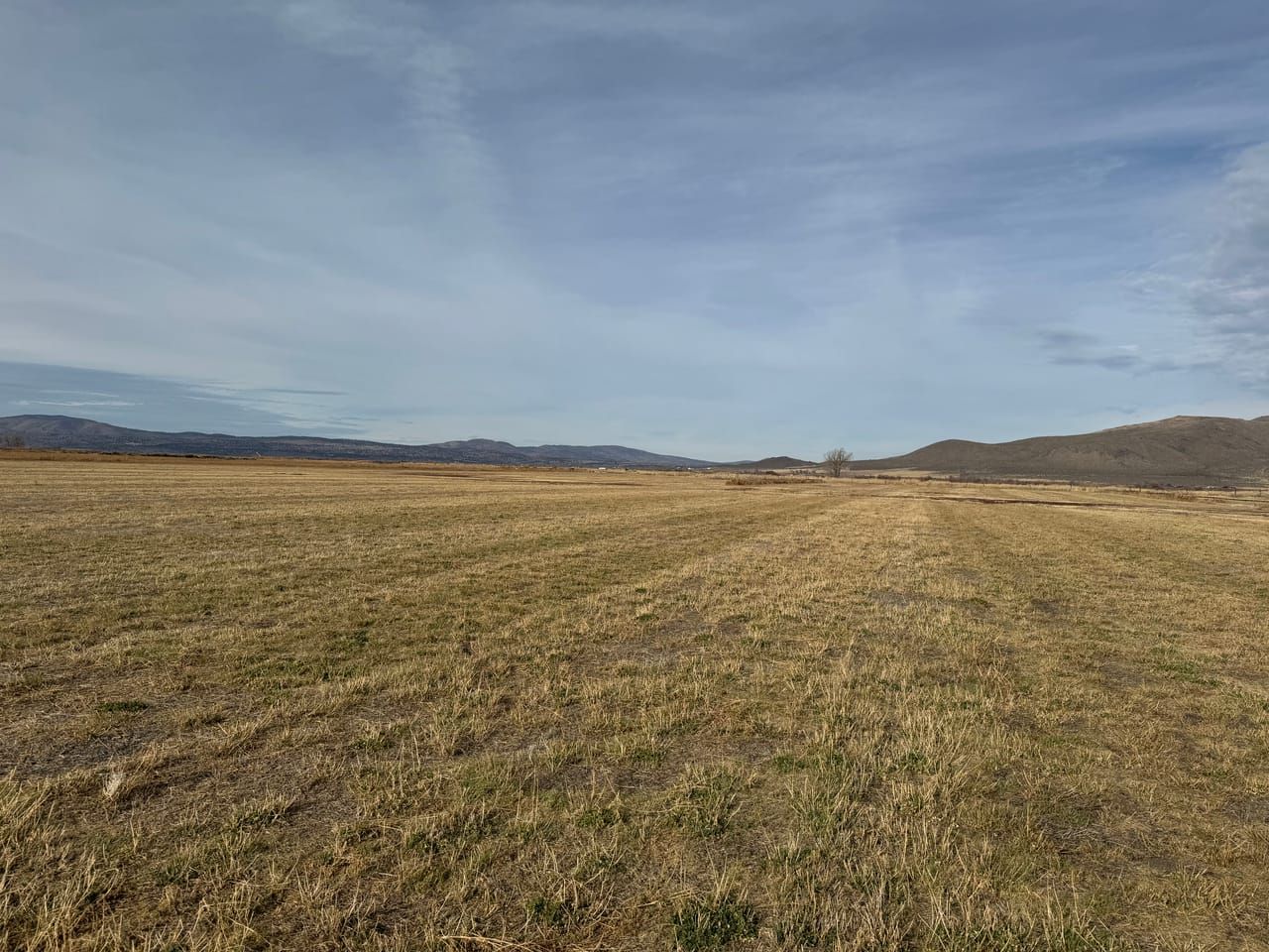 719-695 Highway 395 E, Standish, CA 96128 | MLS: 202300578 | LandWatch