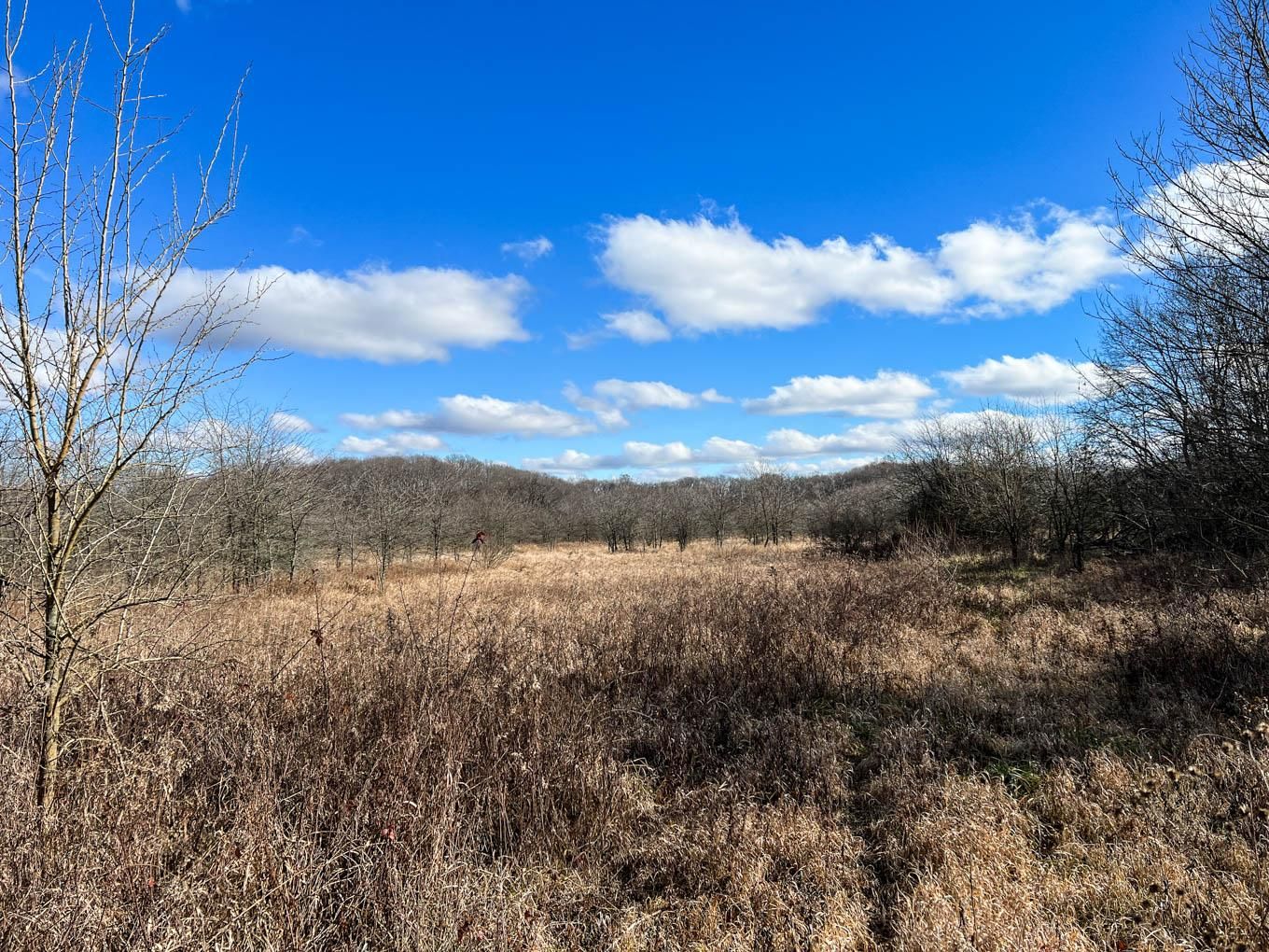 575 North, Pana, IL 62571 | LandWatch