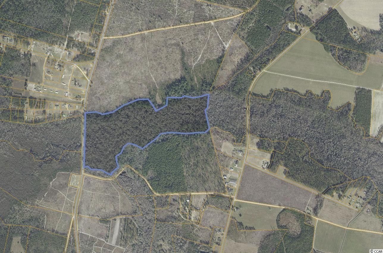 TBD N Nichols Hwy., Nichols, SC 29581 | MLS: 2215297 | LandWatch
