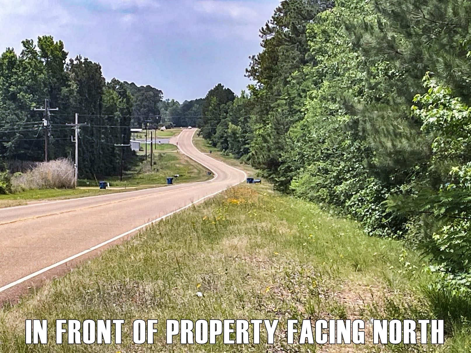 Castor, Bienville Parish, LA Recreational Property, Undeveloped Land ...