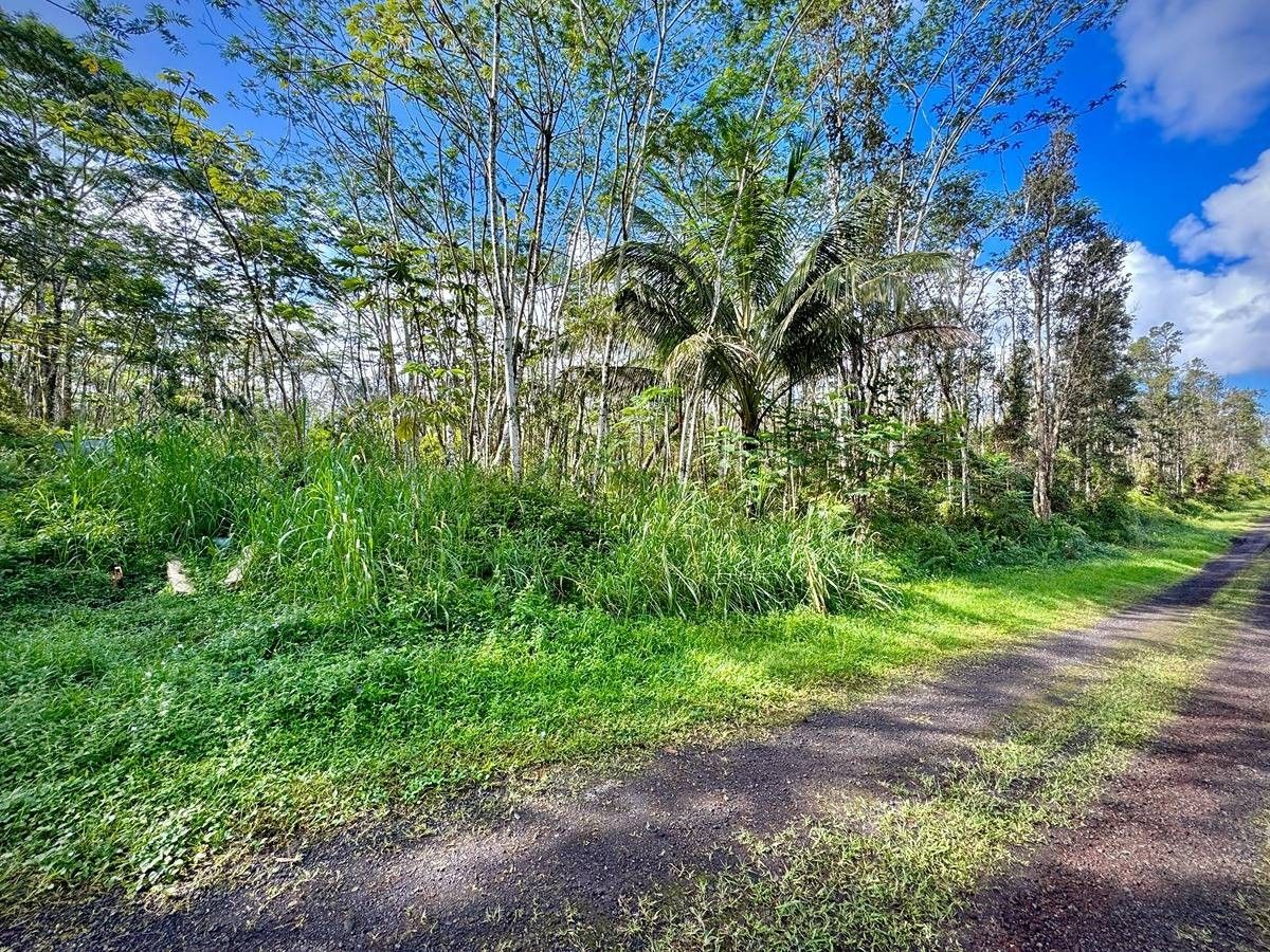 Pahoa, Hawaii County, HI Undeveloped Land, Homesites for sale Property ...