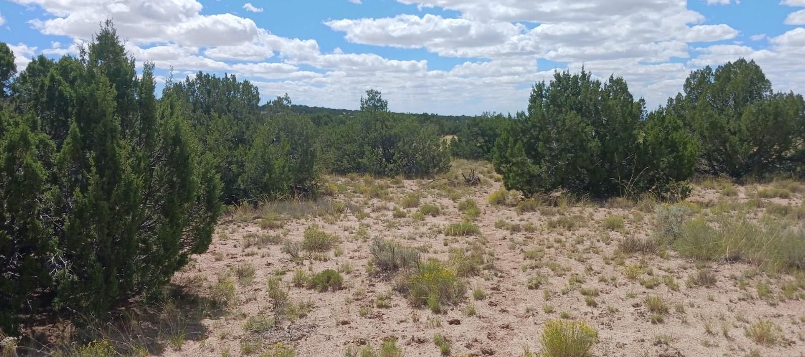 5 acres in Sanders, AZ, 86512 | LandWatch