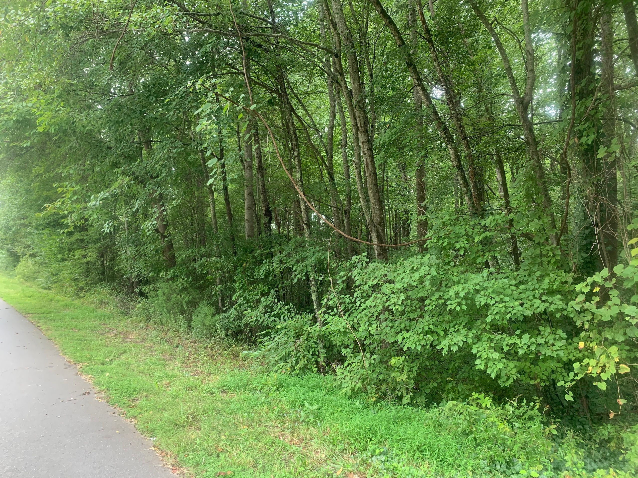 Maryland Drive, Lot#WP03, Forest City, NC 28043 | LandWatch