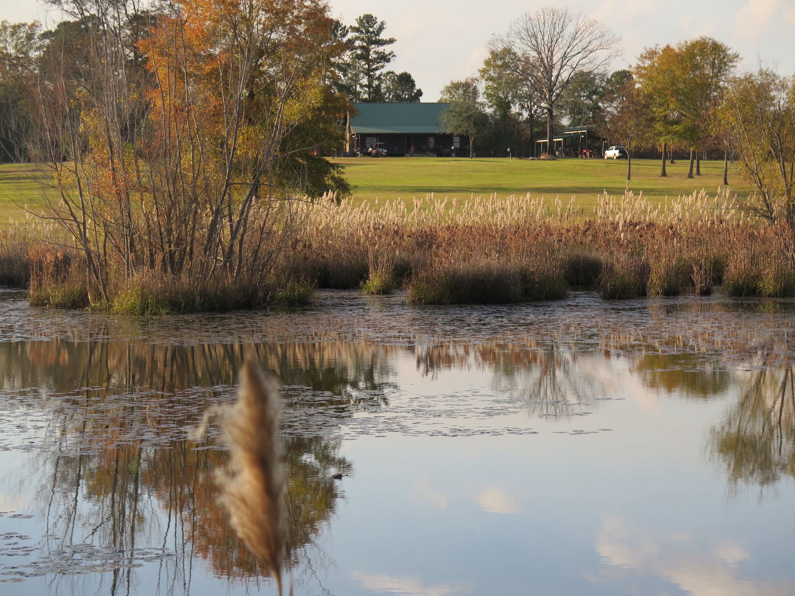 CR216, Lot#WP001, Shubuta, MS 39360 | LandWatch