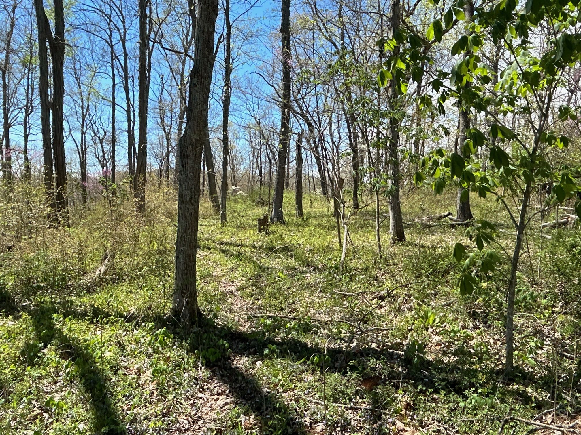 Township Rd 217, WP#001, Scottown, OH 45678 | LandWatch