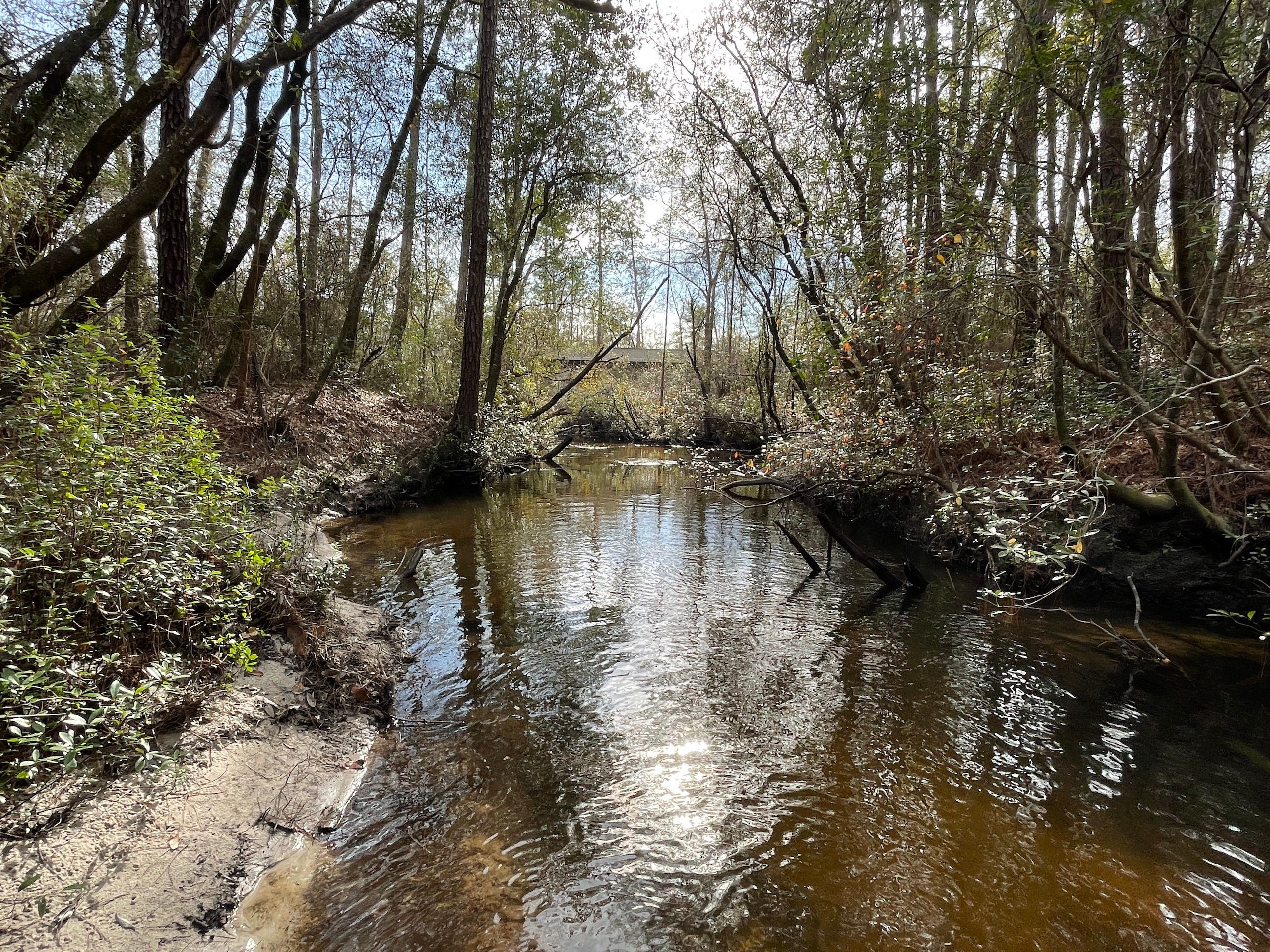 Old Ranch Road, Lot#WP001, Wing, AL 36483 | LandWatch