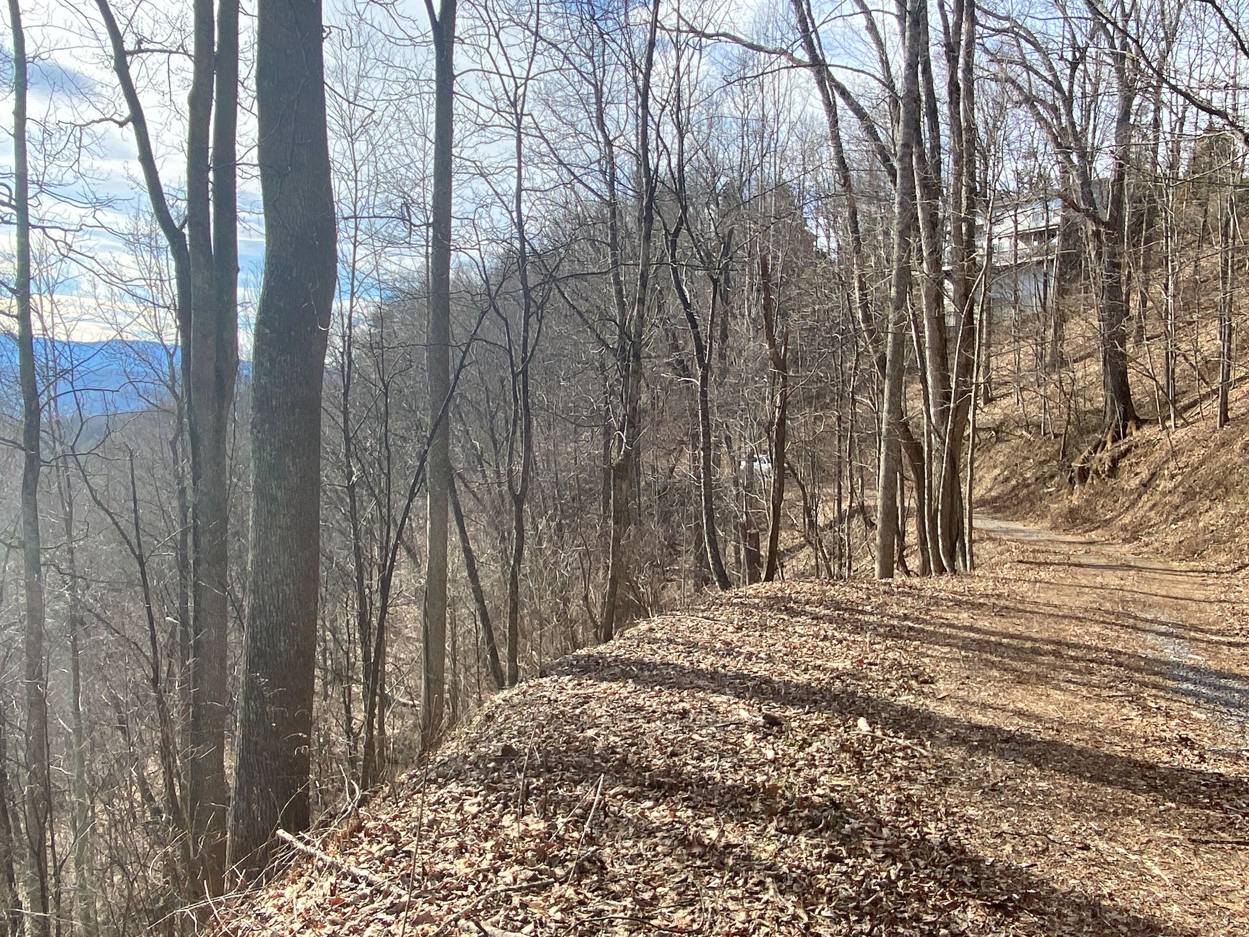 370 Barn Cove Road, Clyde, NC 28721 | LandWatch