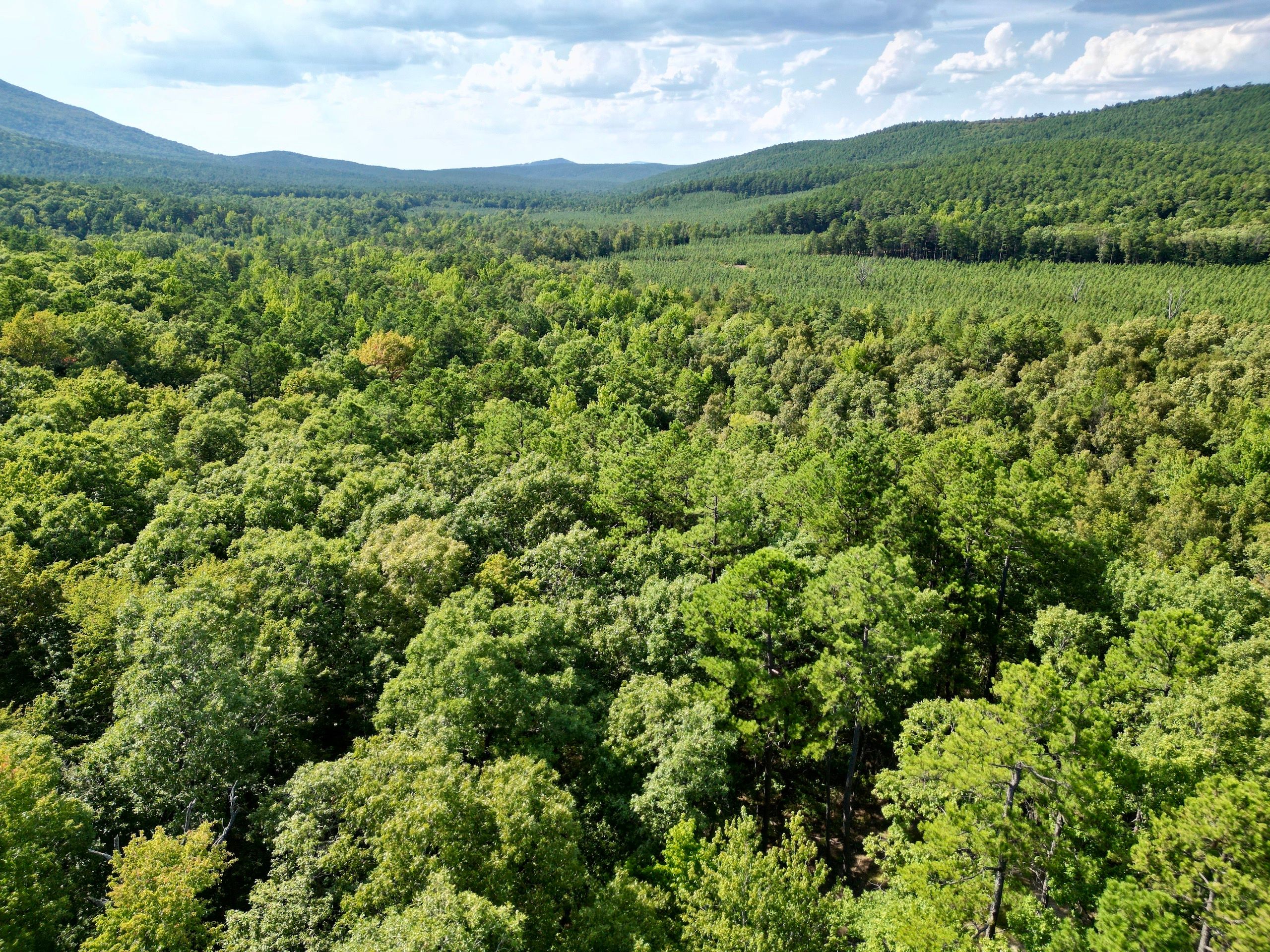 Eagleton, Polk County, AR Recreational Property, Timberland Property ...