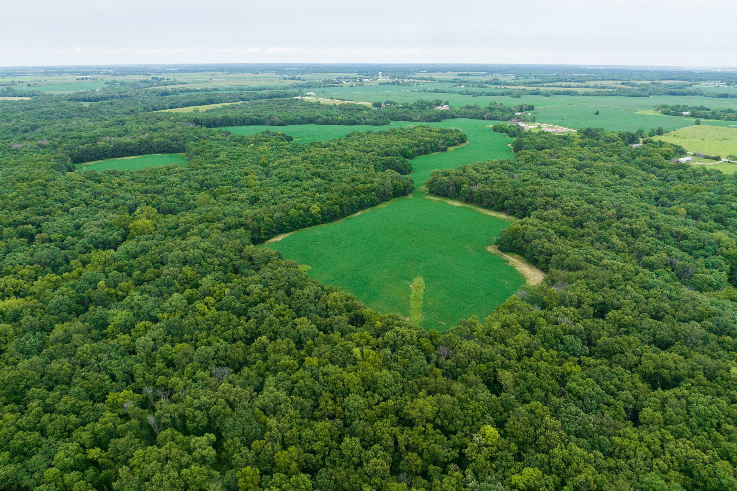 Donnellson, Lee County, IA Farms and Ranches, Recreational Property ...