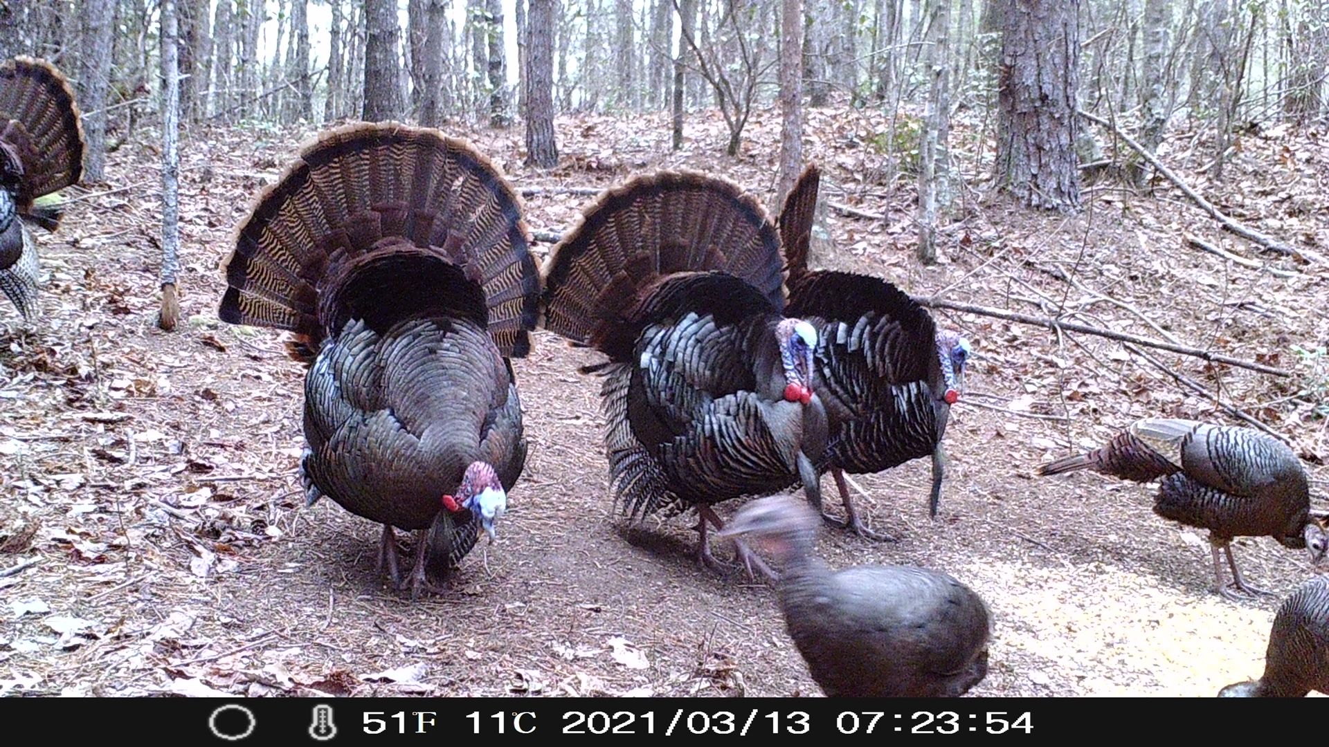 6234 Adako Road, Lenoir, NC 28645 | MLS: 4065280 | LandWatch