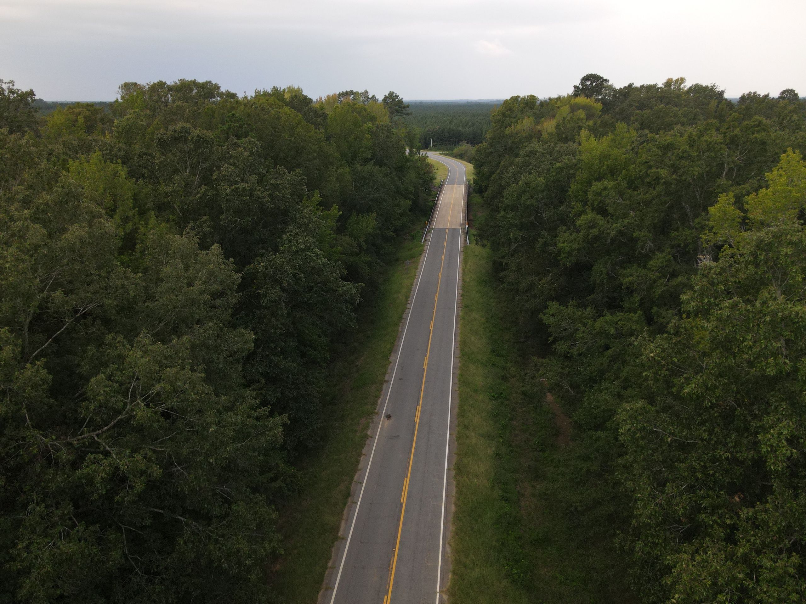 Hwy 172, Lot#WP001, Wilmar, AR 71675 | LandWatch
