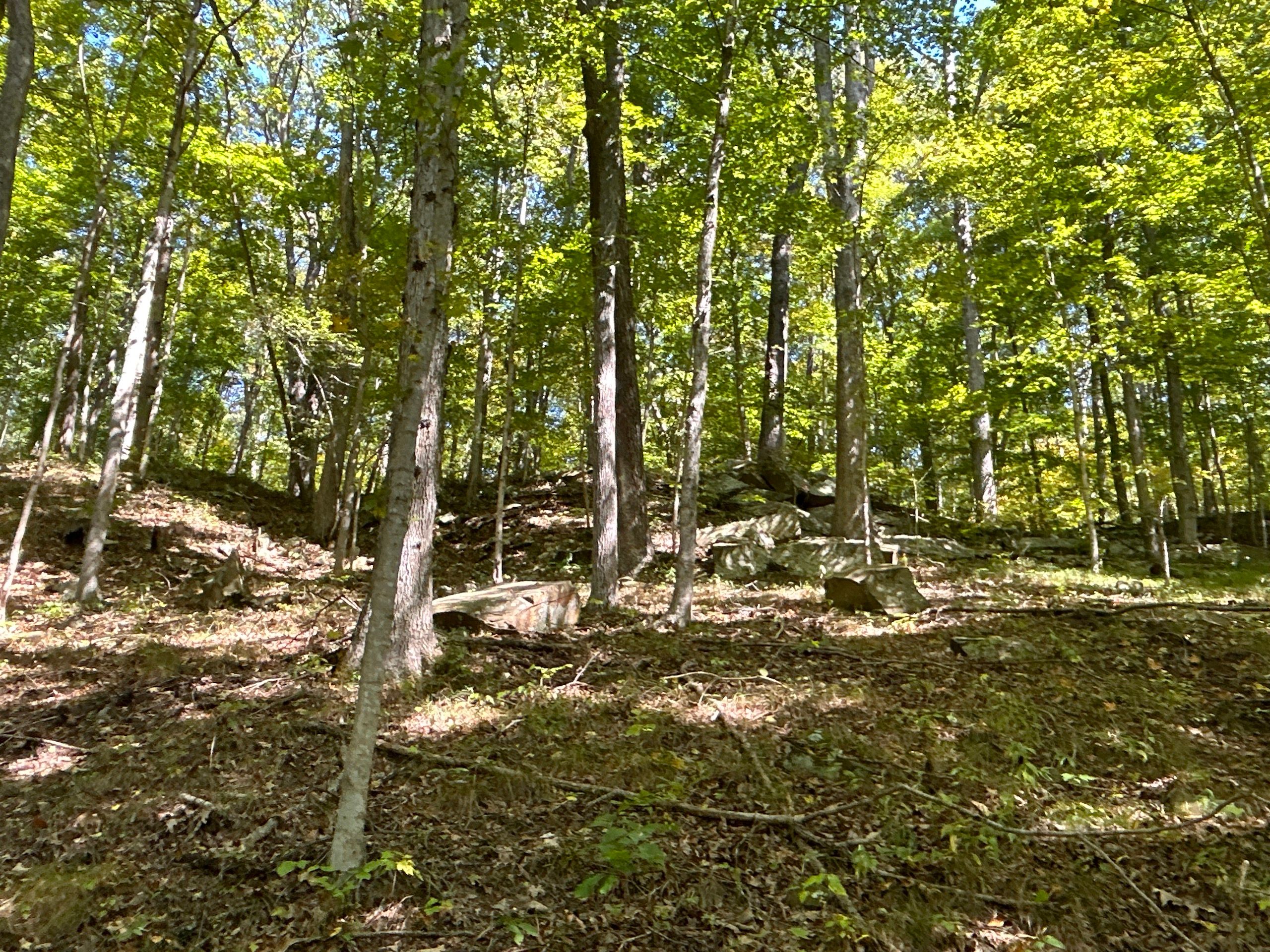 Duck Run Otway Rd Lot# Wp 001, Lucasville, OH 45648 | LandWatch