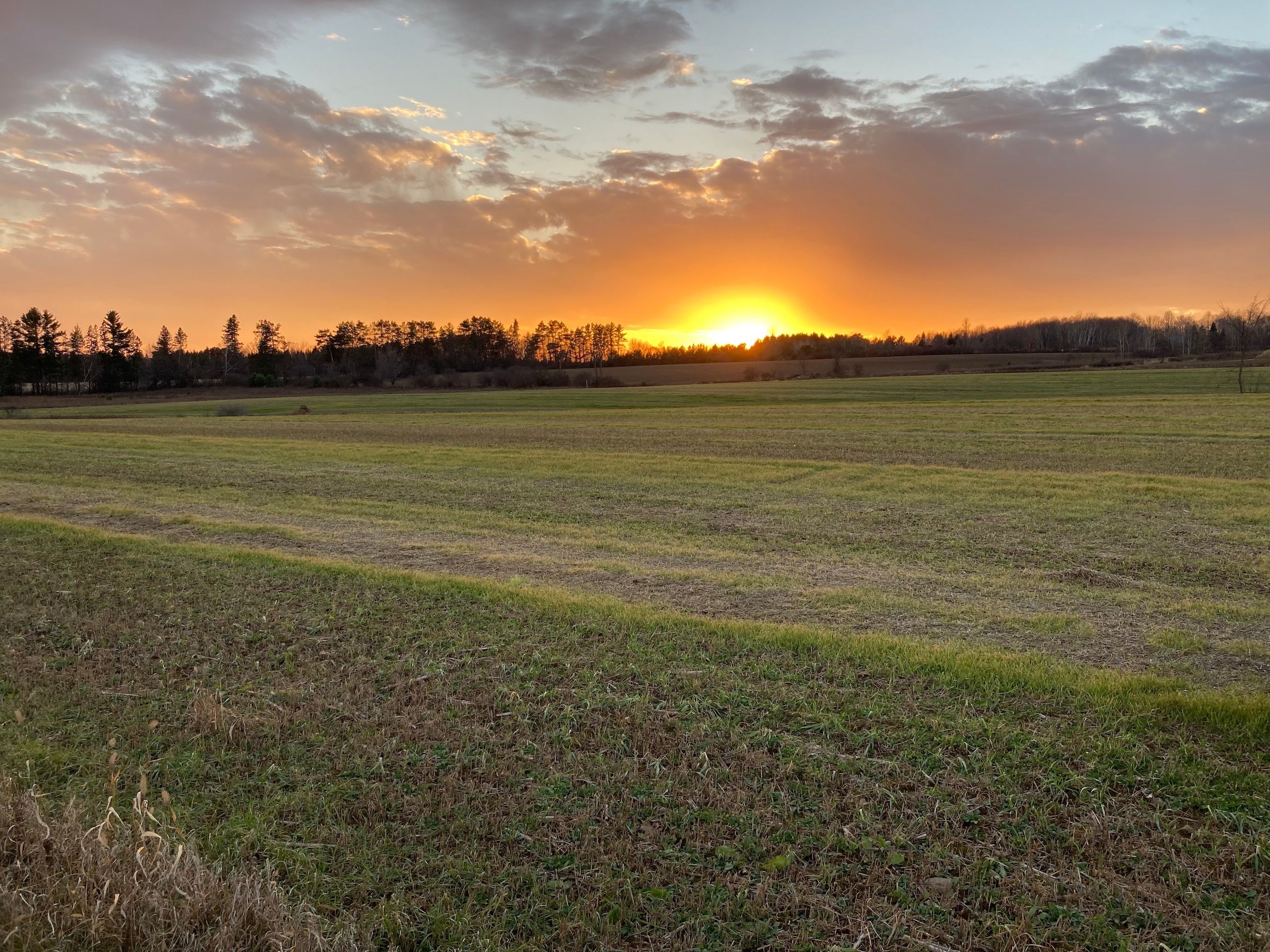 Merrill, Lincoln County, WI Farms and Ranches, Recreational Property ...