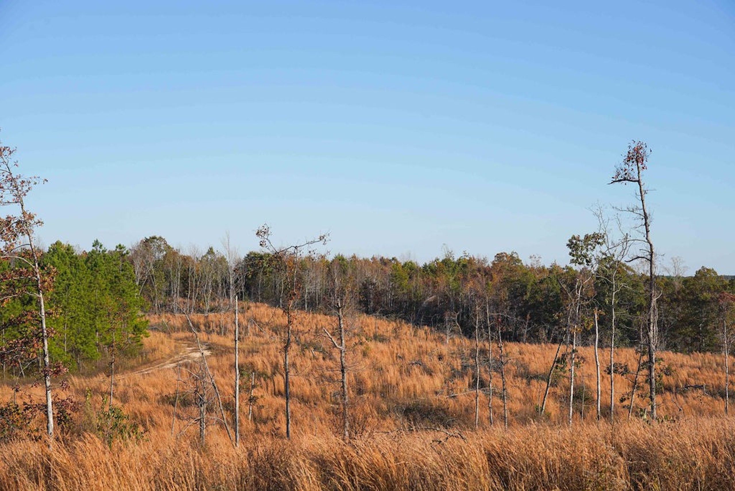 0 Old Highway 18, Lot#WP007, Stewart, TN 37175 | MLS: 2588363 | LandWatch