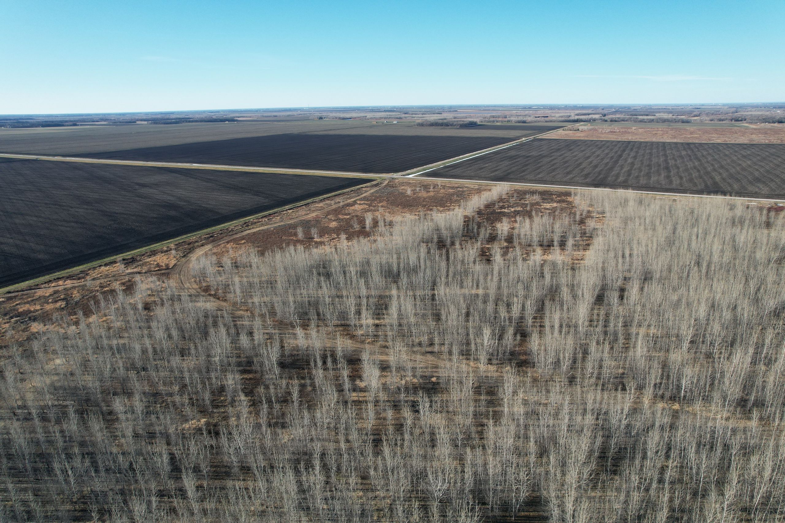 TBD State Highway 220, Lot#WP001, Stephen, MN 56757 | LandWatch