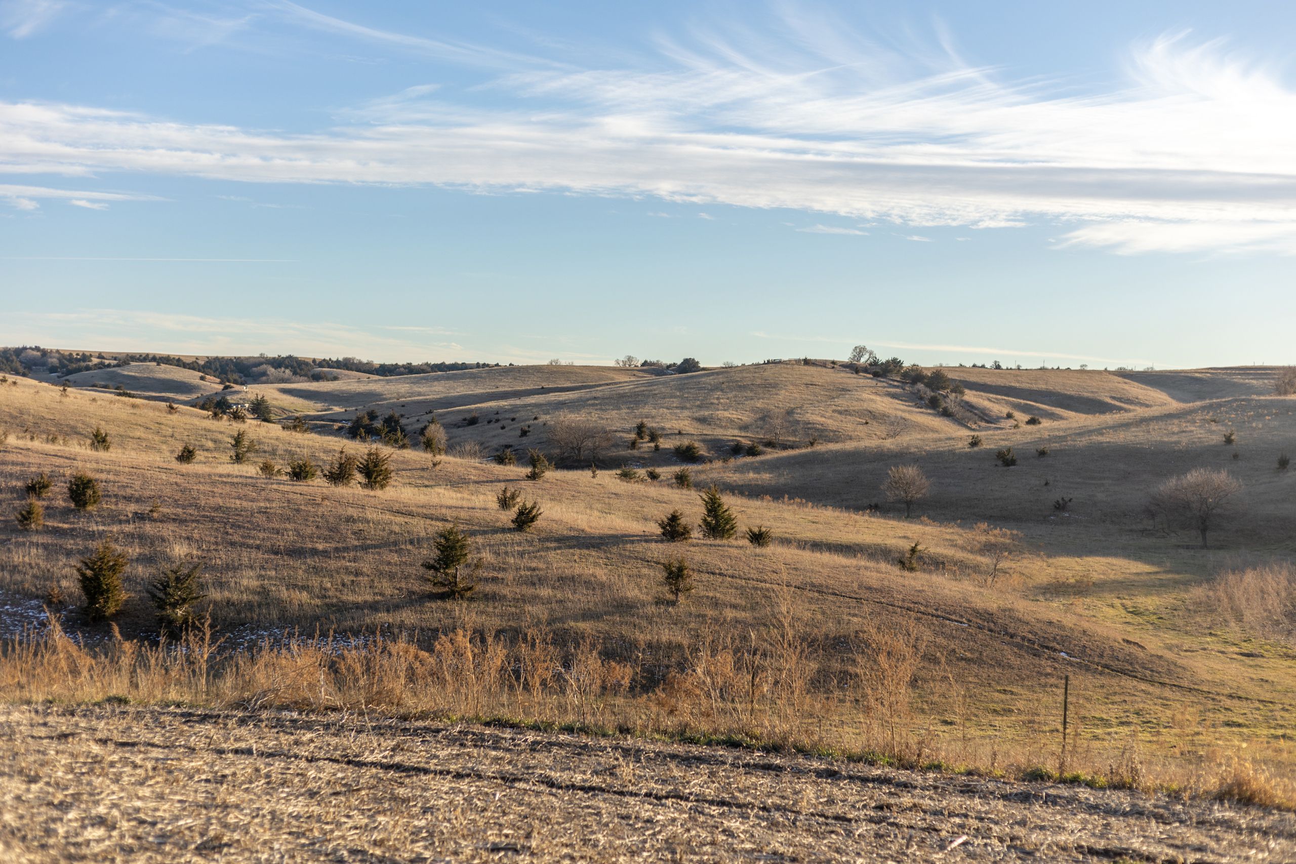 1235 310th Street, Lot#WP001, Primrose, NE 68655 | LandWatch