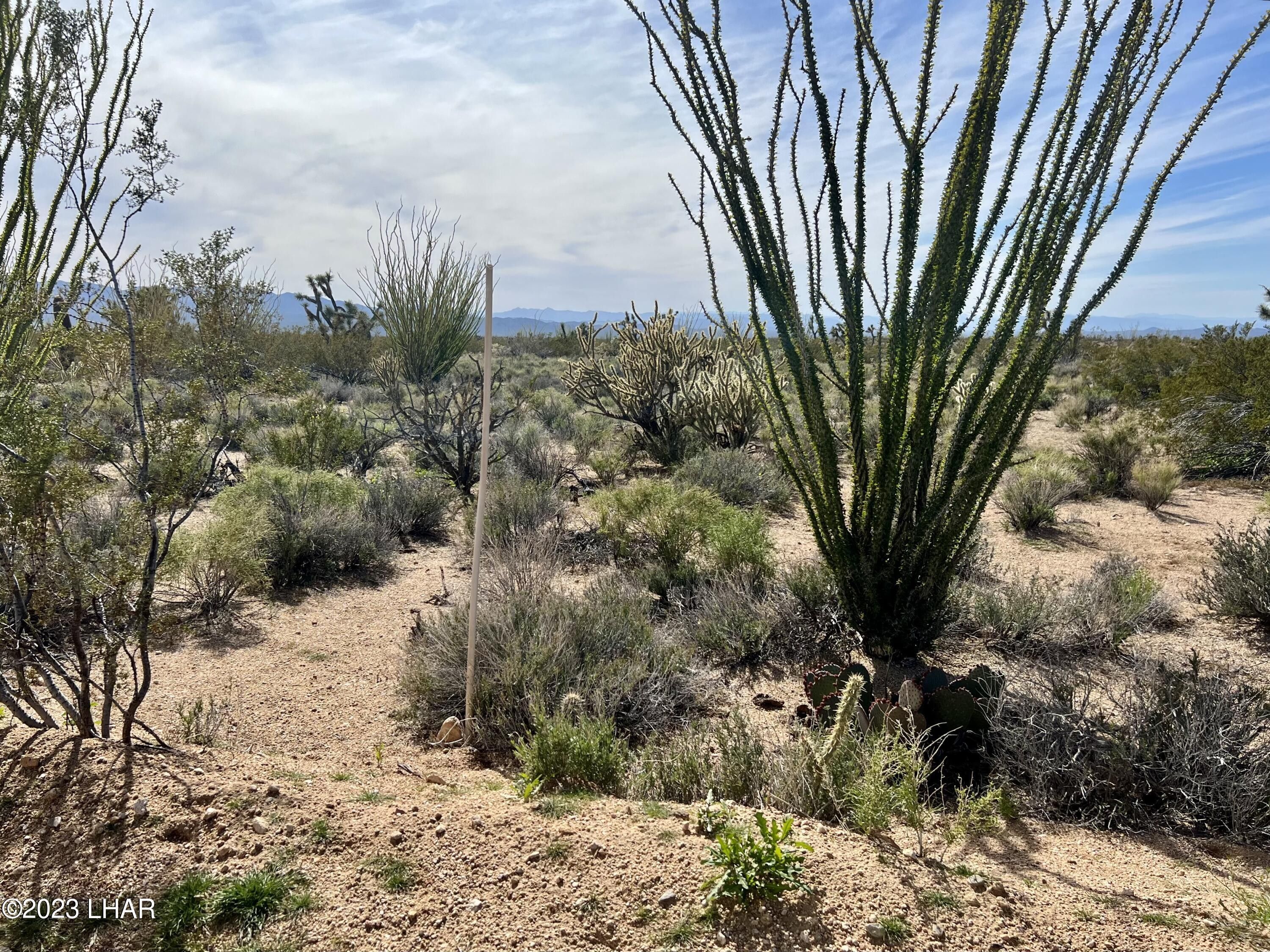 Lot 807 S Kit Carson Rd, Yucca, AZ 86438 | MLS: 1025493 | LandWatch