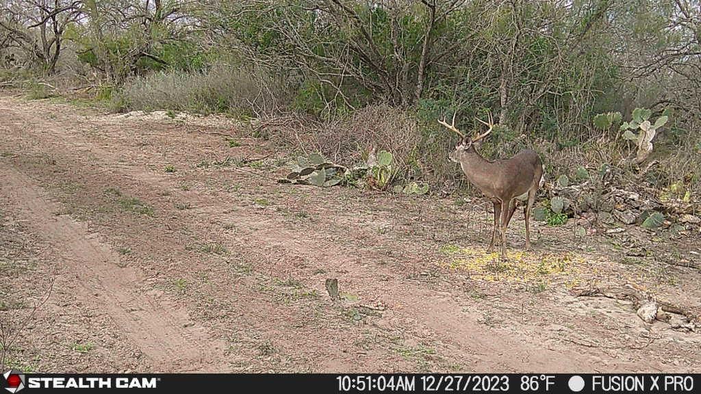 US Highway 281, Linn, TX 78563 | LandWatch