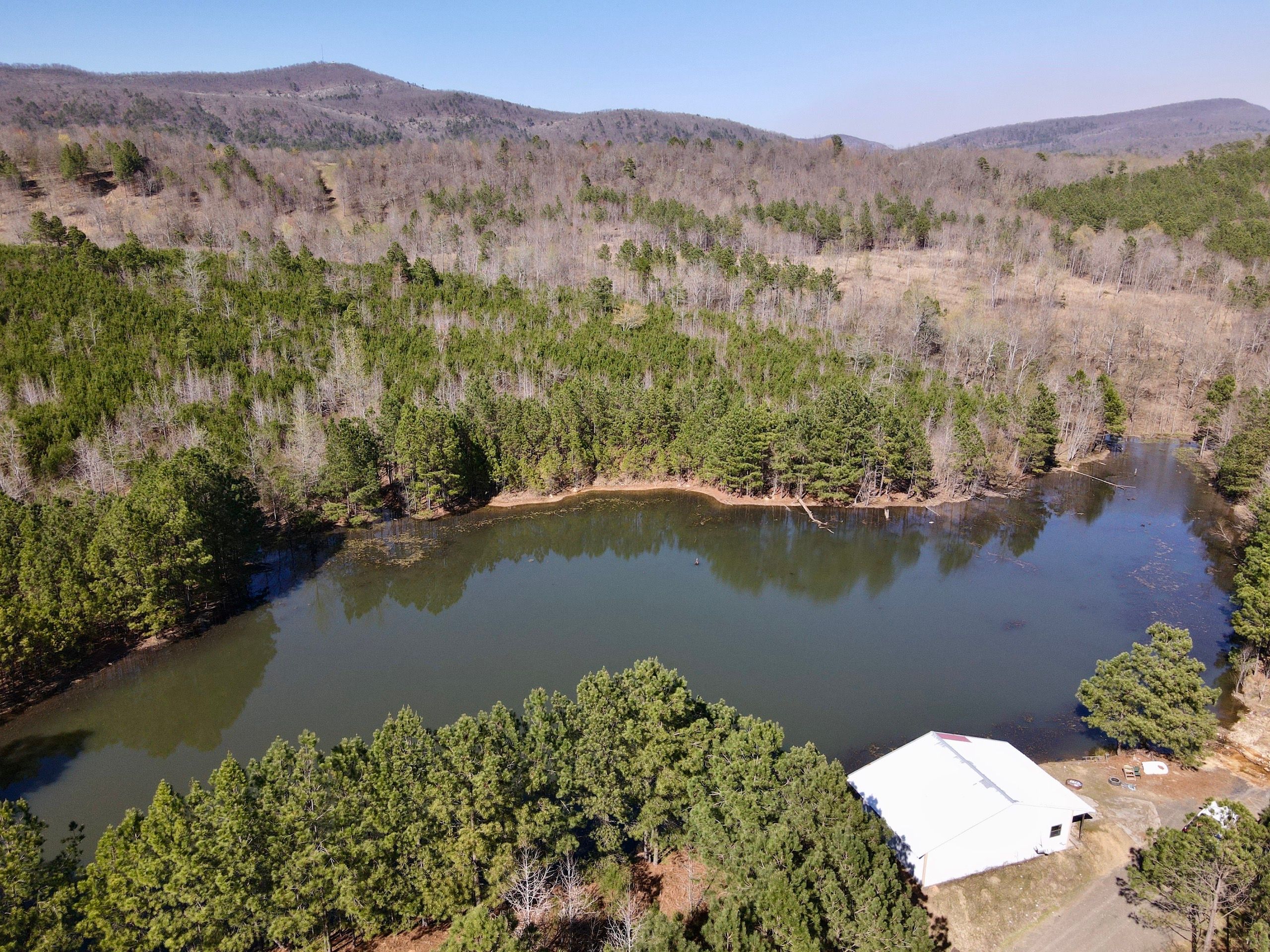 Polk 394, Mena, AR 71953 | LandWatch