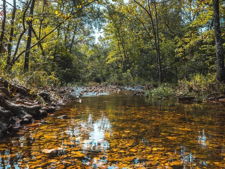 Paddy Chapel Road, Roby, MO 65557 | LandWatch