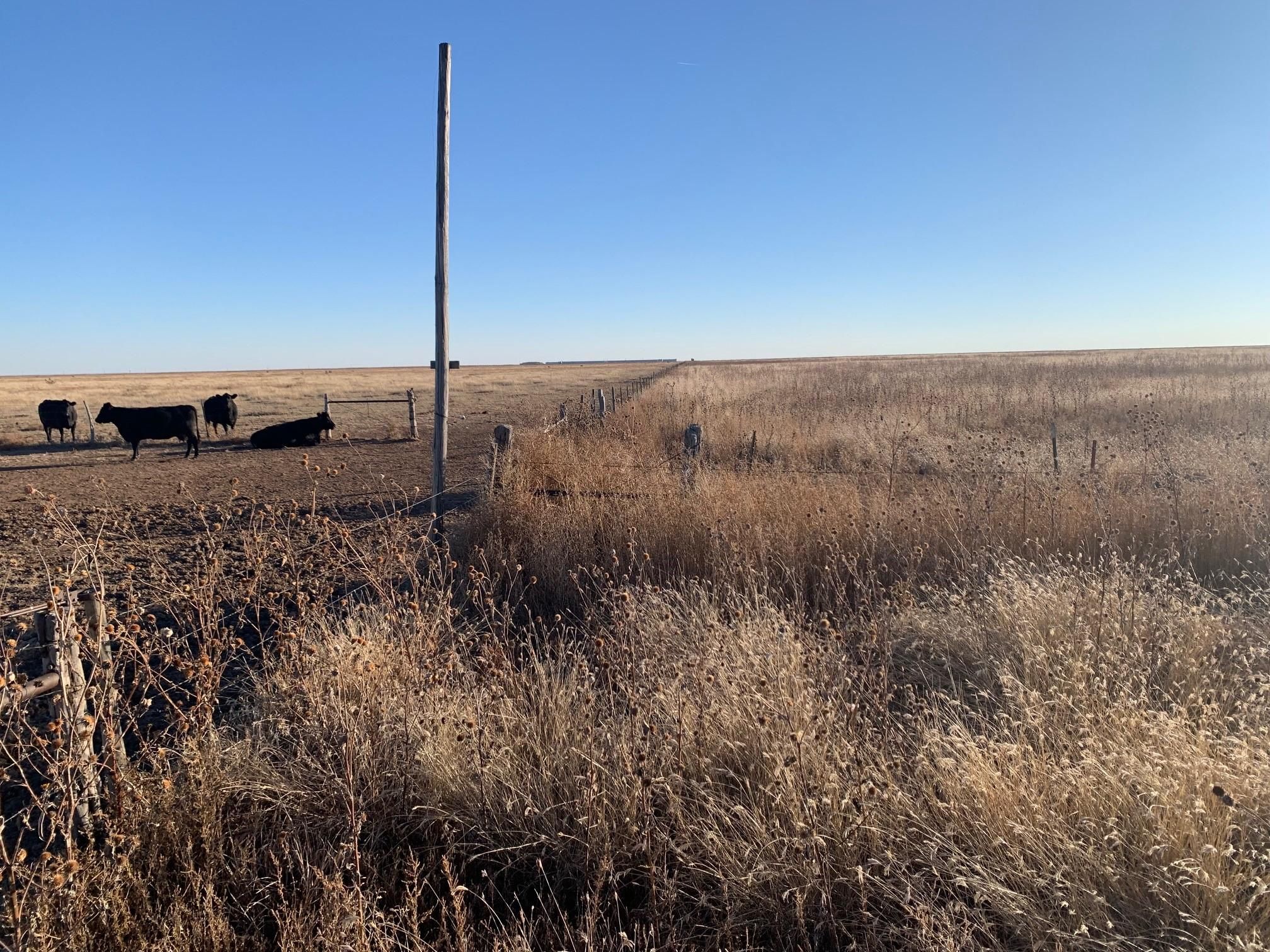 1,450 acres in Kerrick, TX, 79051 | LandWatch