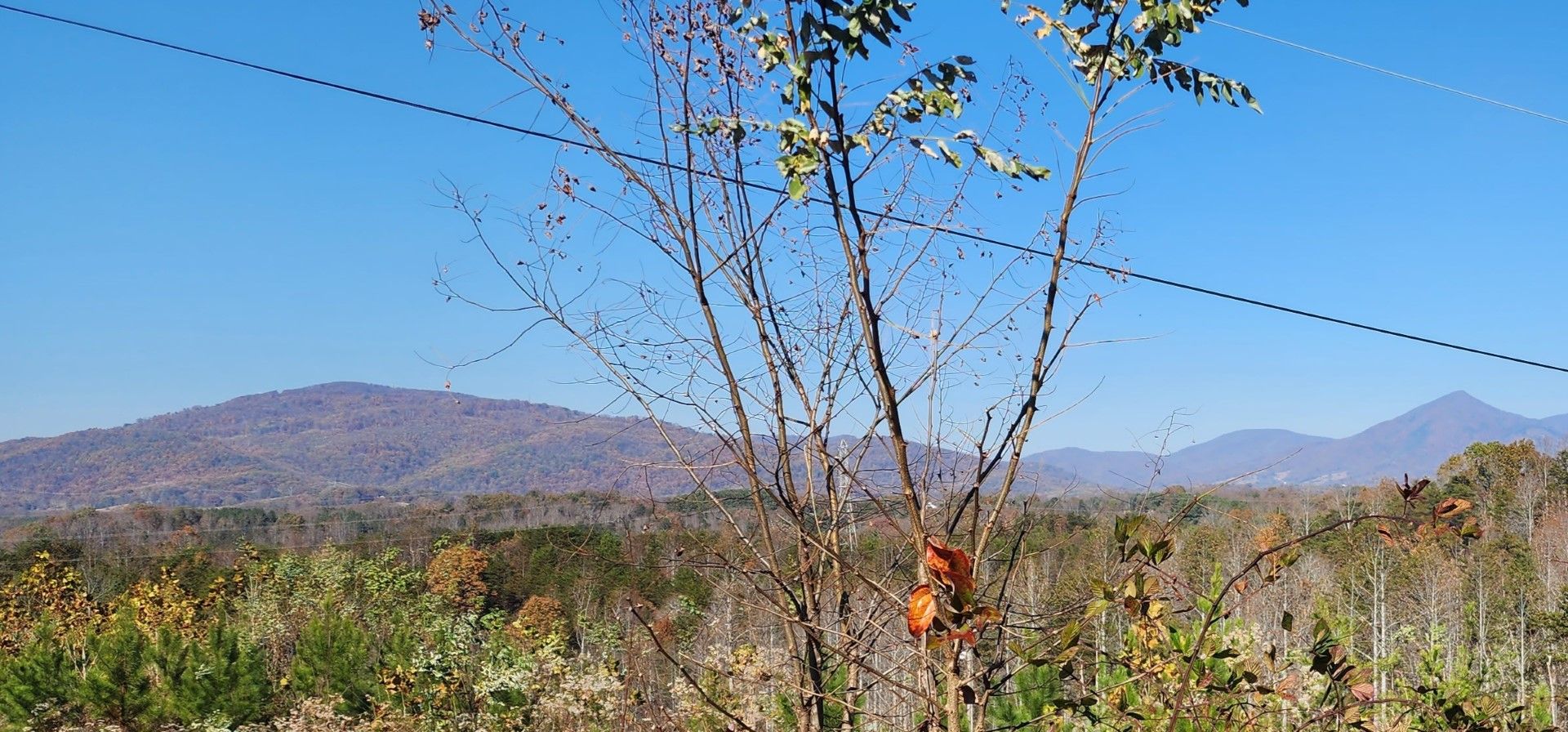 Tract 2 Johnson School Road, Thaxton, VA 24174 | MLS: 349096 | LandWatch