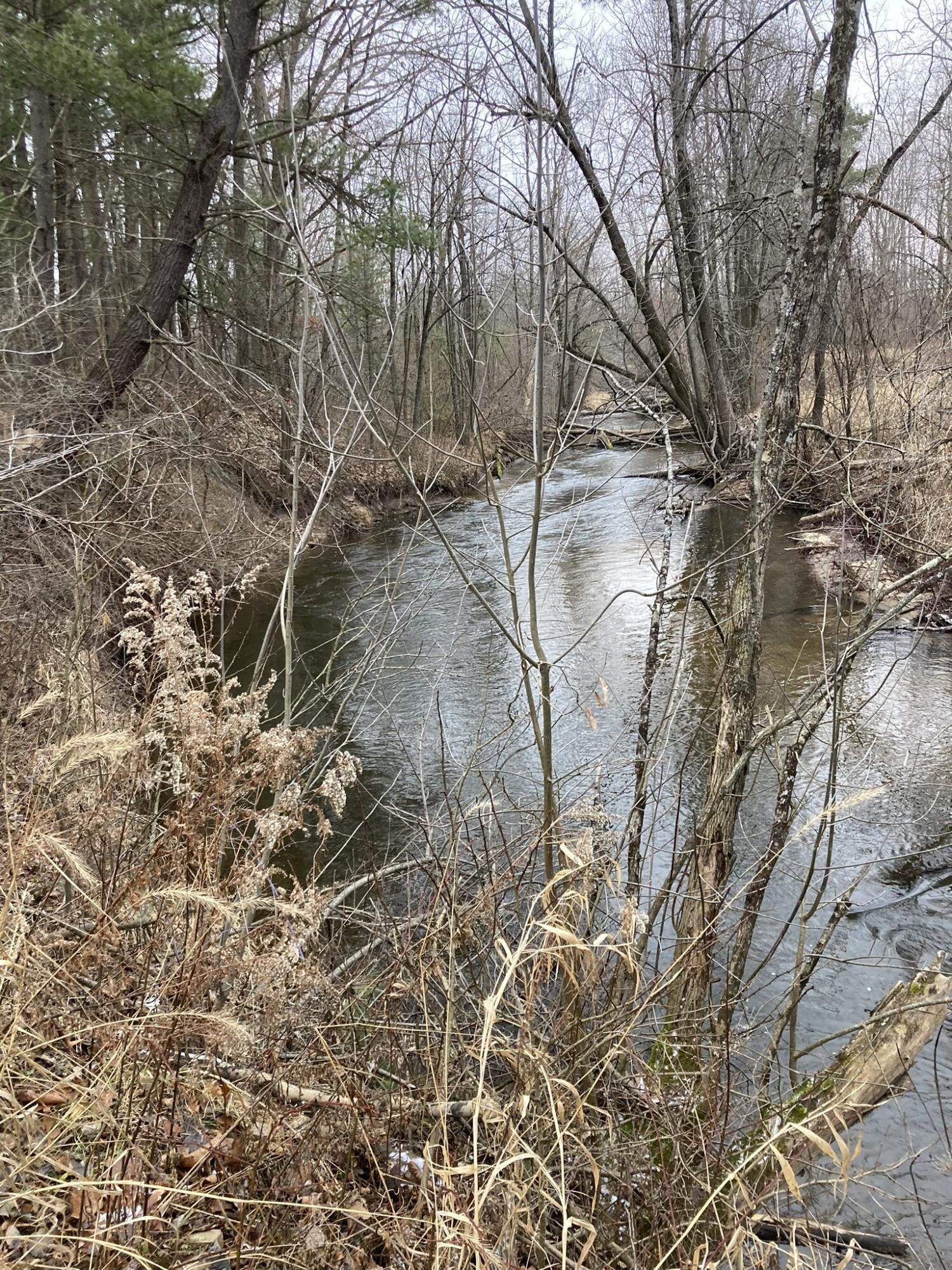 Howard City, Montcalm County, MI Undeveloped Land, Lakefront Property ...