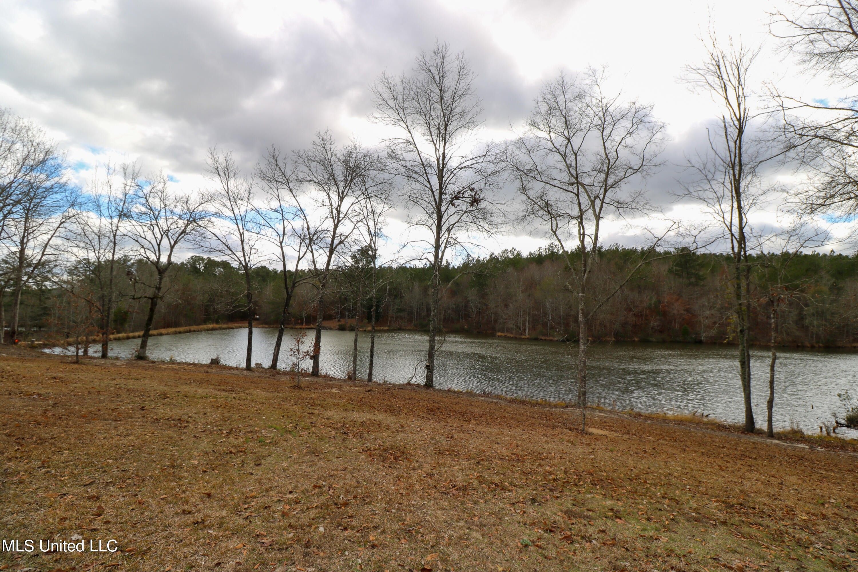 1873 E L Johnson Road, Little Rock, MS 39337 | MLS: 4067752 | LandWatch