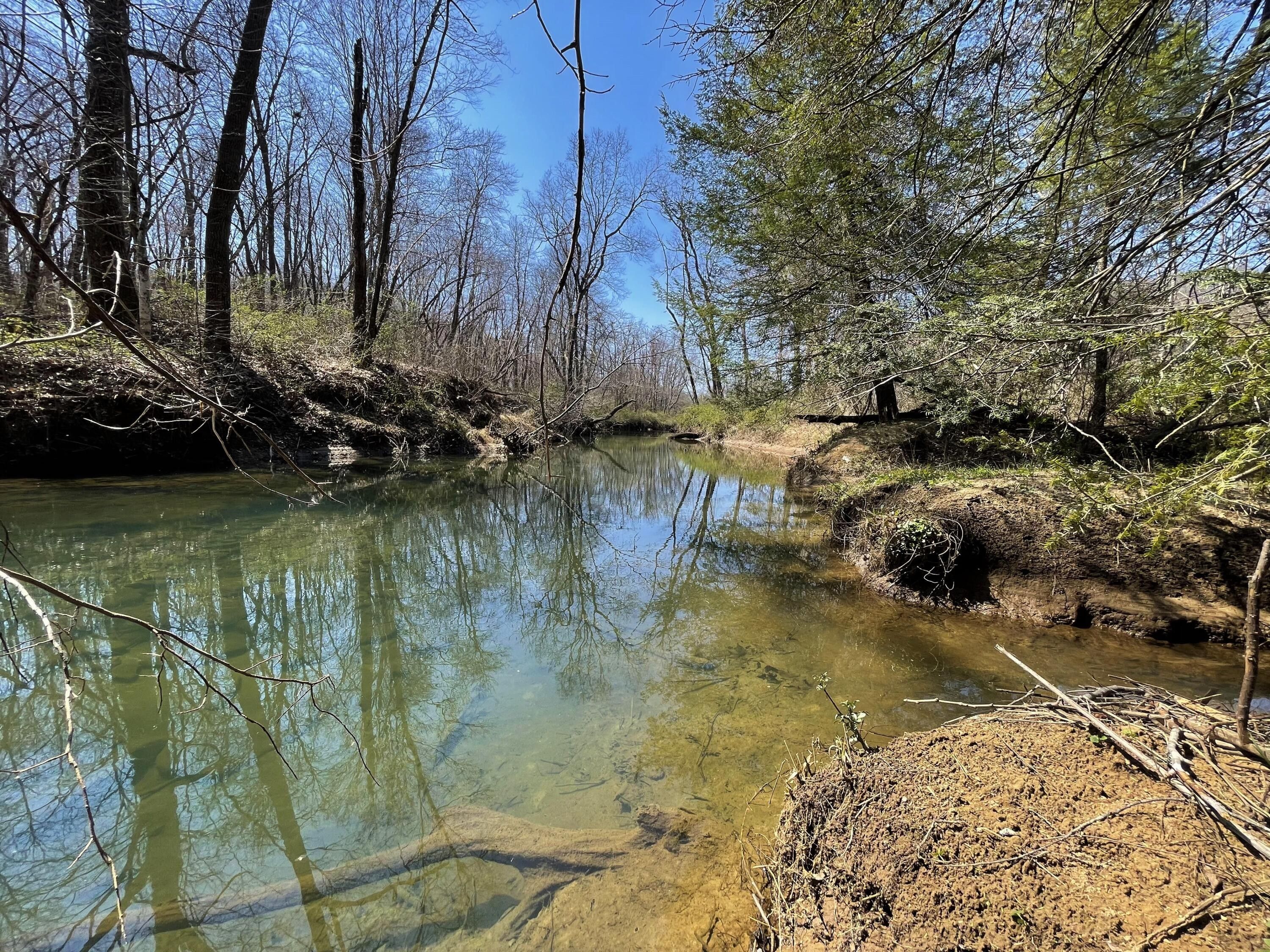 00 Wilderness Hwy., Nallen, WV 26680 | MLS: 24-8 | LandWatch