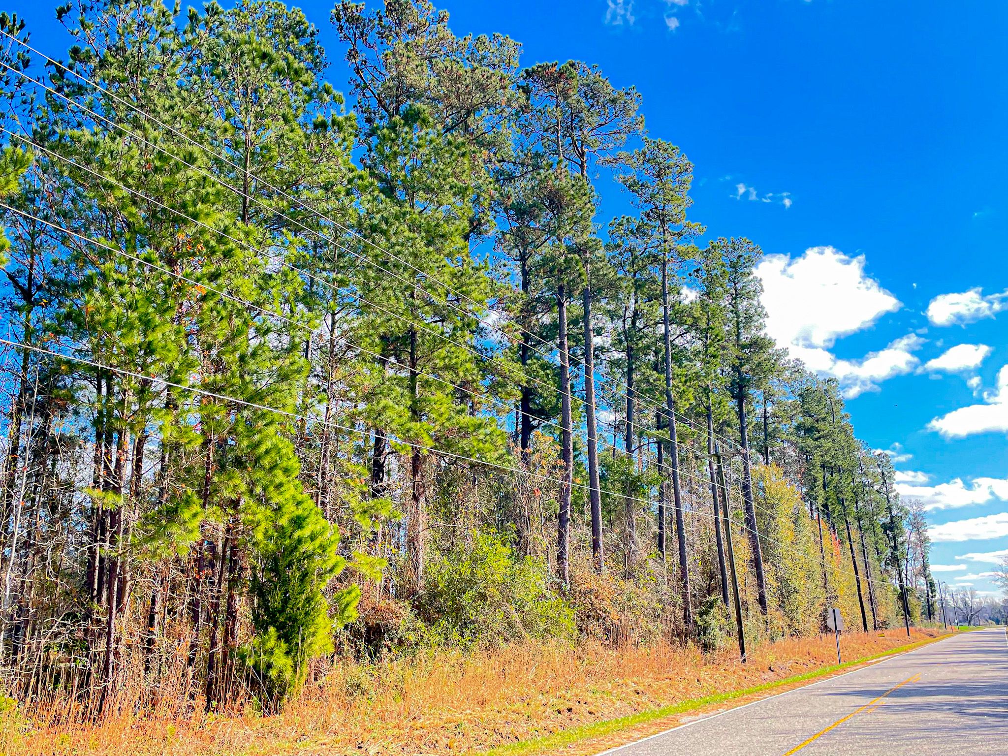 Highway 9, Lot#WP001, Nichols, SC 29581 | LandWatch