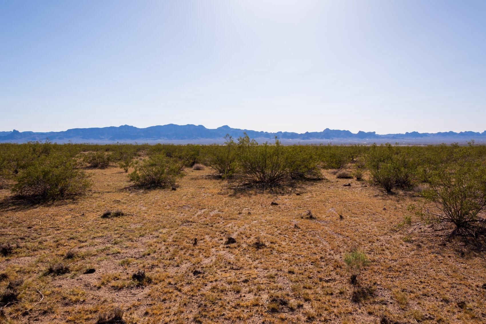 3995-3999 Zentiff, Golden Valley, AZ 86413 | MLS: 215-15-135A | LandWatch