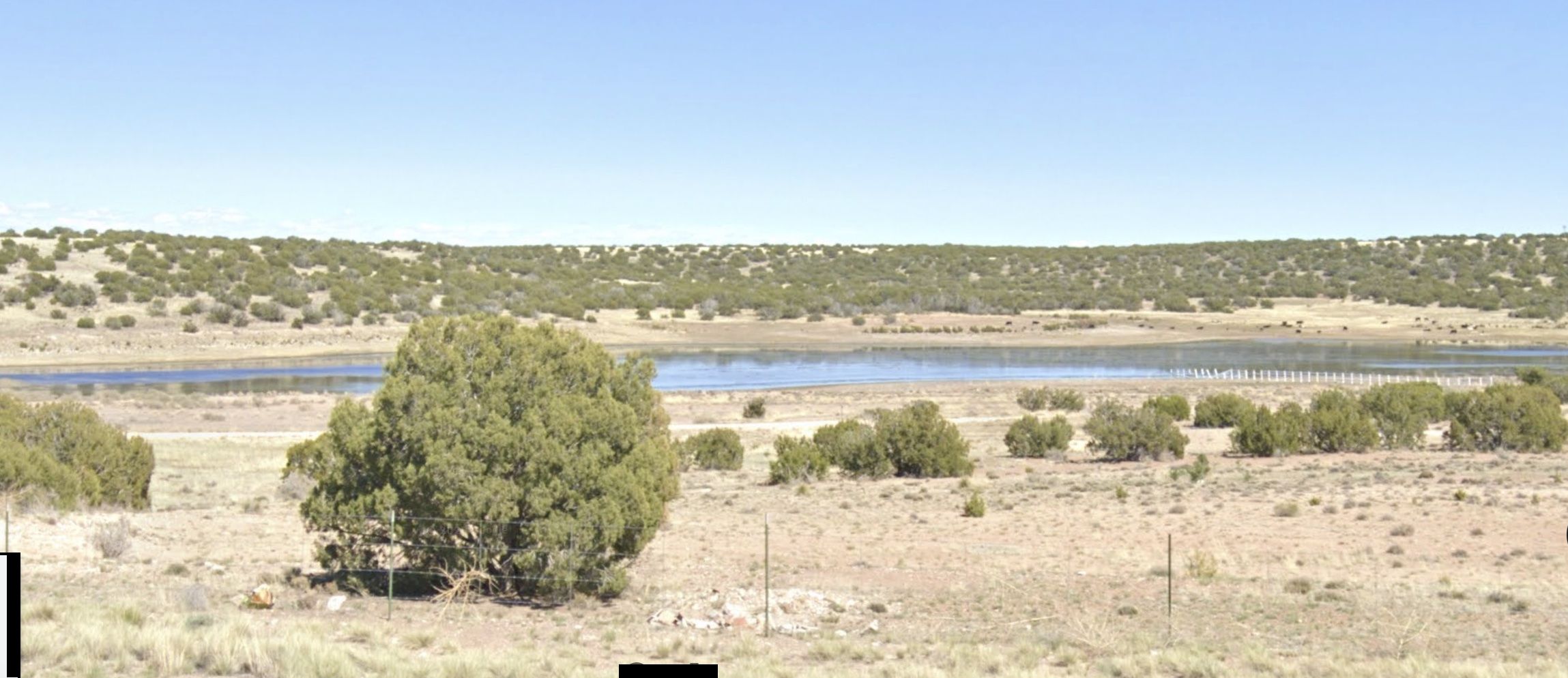 101 County Road 5052, Concho, AZ 85924 | LandWatch