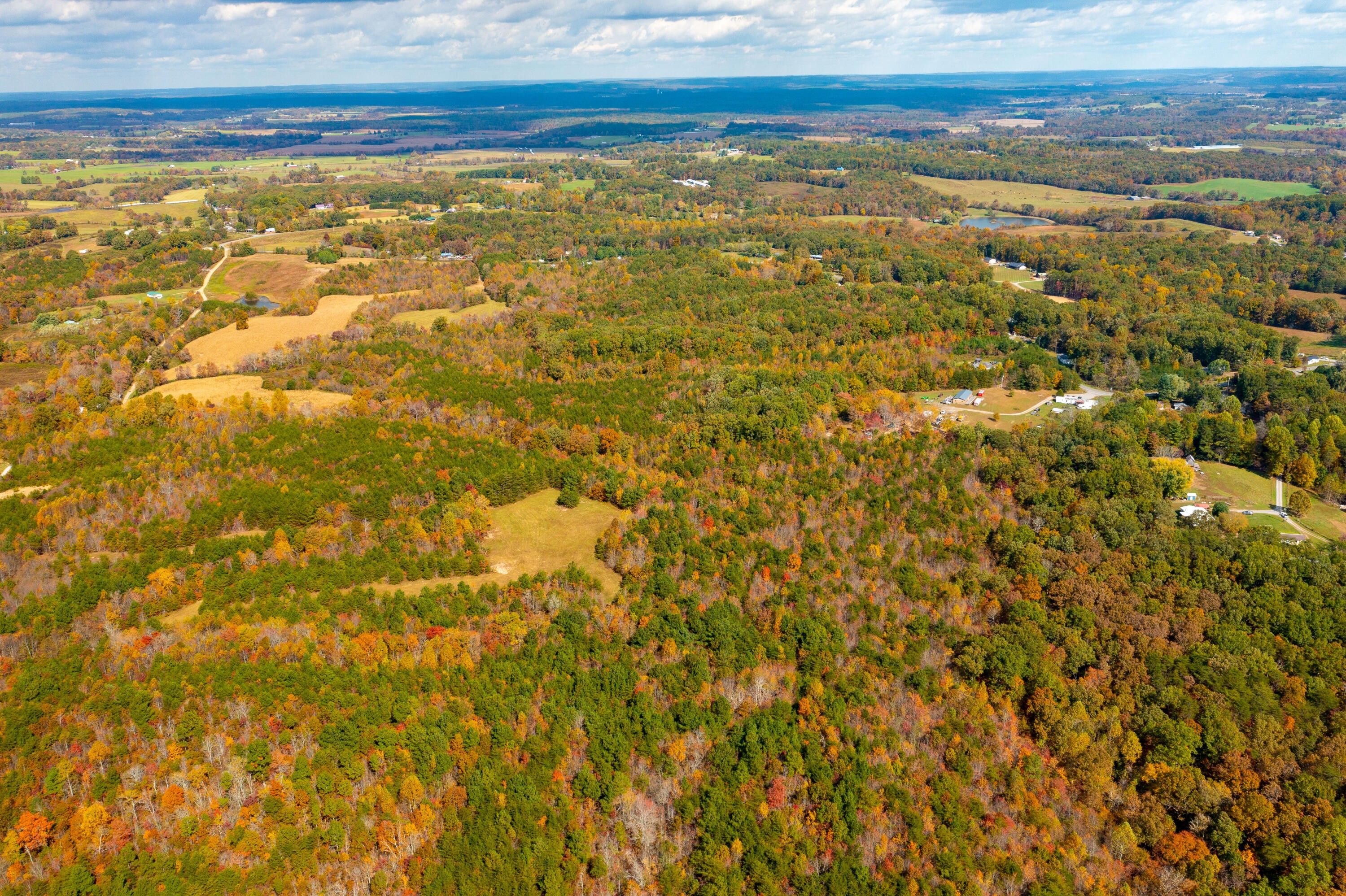 0 Gator Way, Pikeville, TN 37367 | MLS: 1385271 | LandWatch