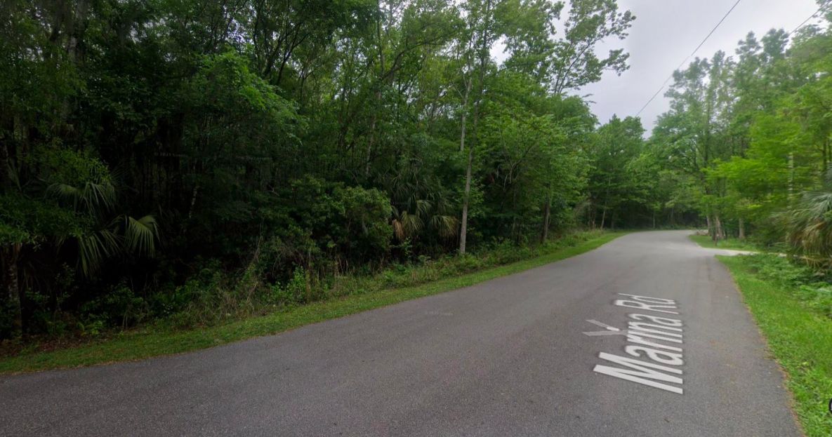 Satsuma, Putnam County, FL Homesites for sale Property ID: 418681426 ...