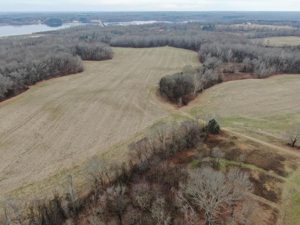 Springville, Henry County, TN Farms and Ranches for sale Property ID ...