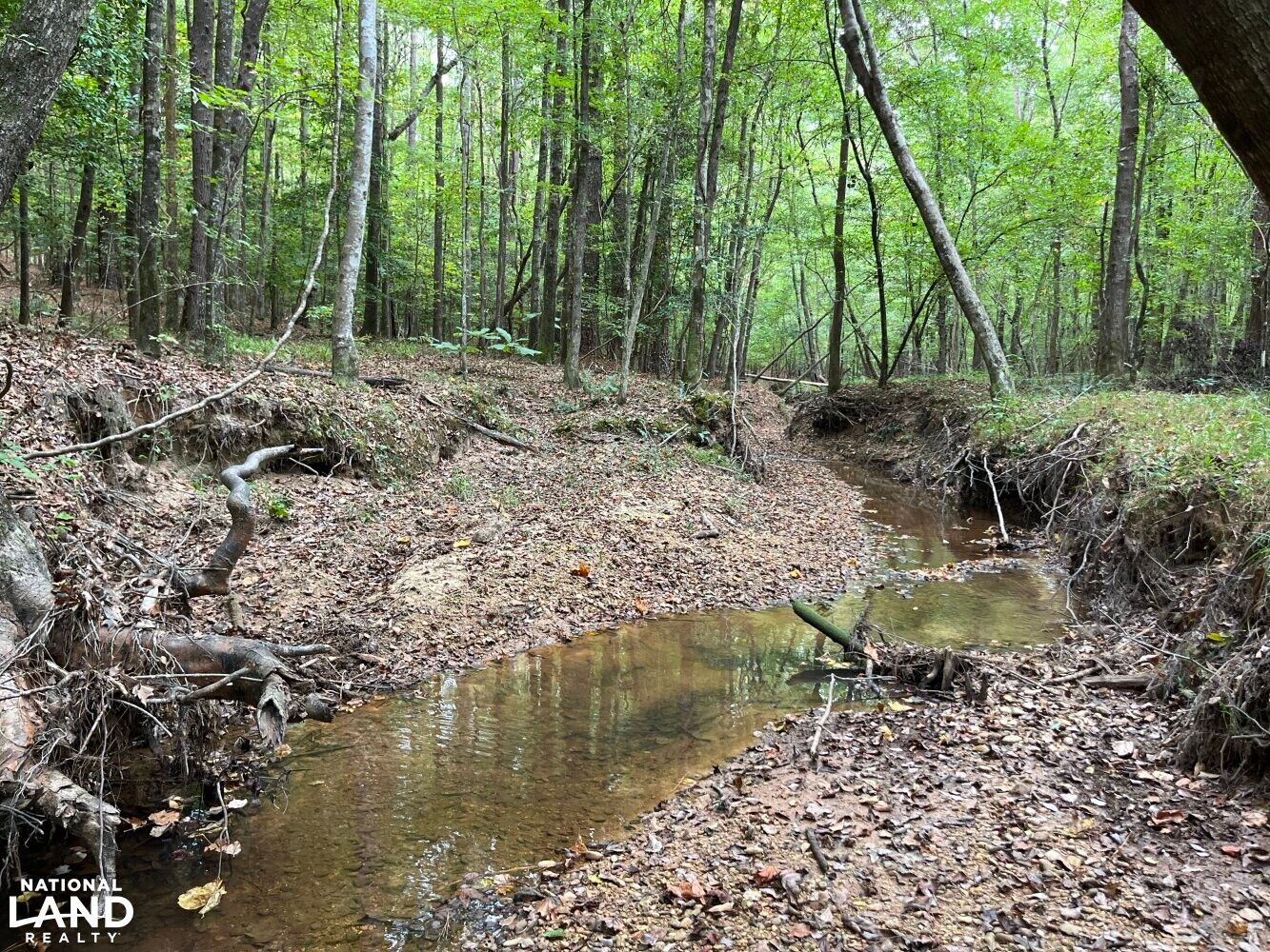 0 Boy Scout Lake Road, Beaverton, AL 35544 | LandWatch