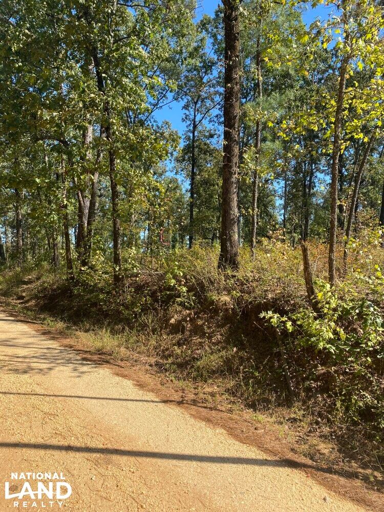 Rowell, Cleveland County, AR Recreational Property, Undeveloped Land ...