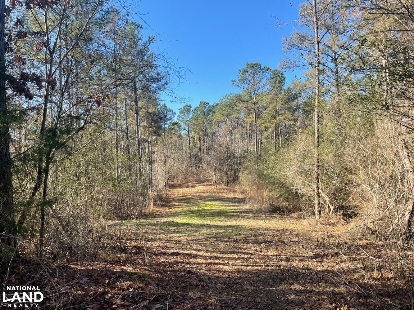 0 Mulberry Road, Sulligent, AL 35586 | LandWatch