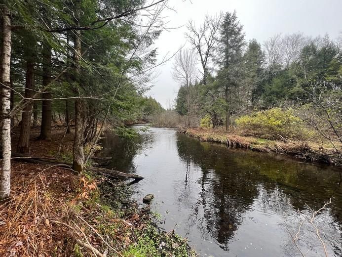 Manley Taylor Road, Florence, NY 13316 | MLS: 11223067 | LandWatch
