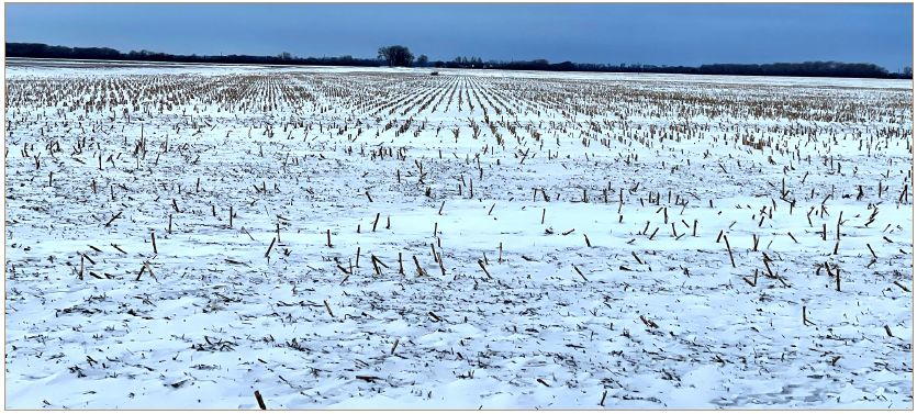 160 acres in Gilby, ND, 58235 | MLS: RE461 | LandWatch