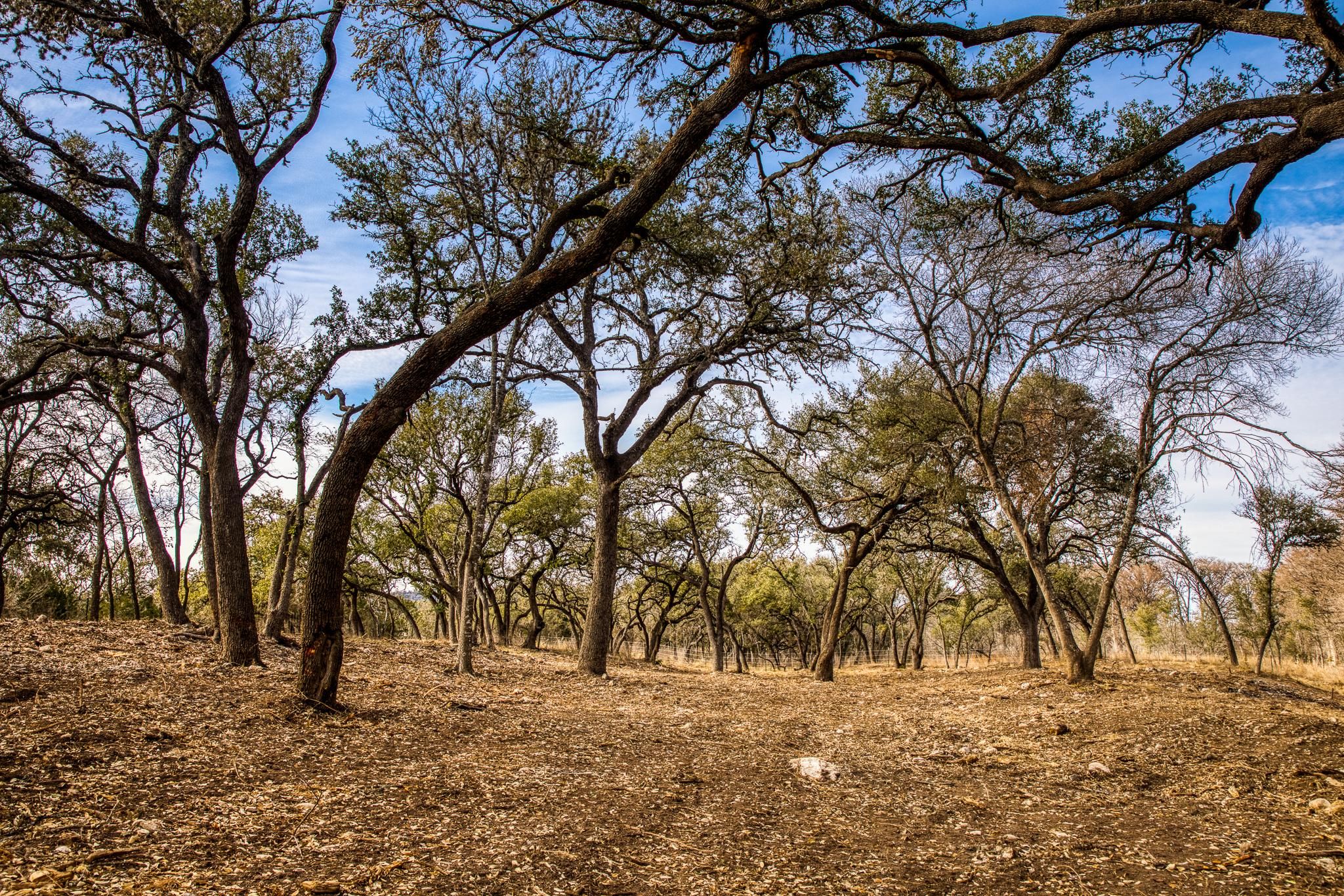 120 acres in Utopia, TX, 78884 | LandWatch