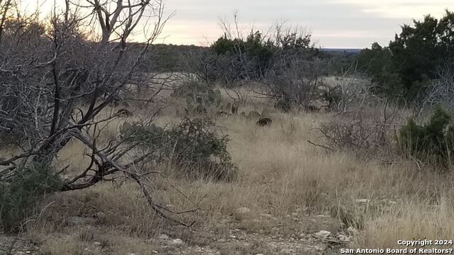 Comstock, Val Verde County, TX Farms and Ranches for sale Property ID ...