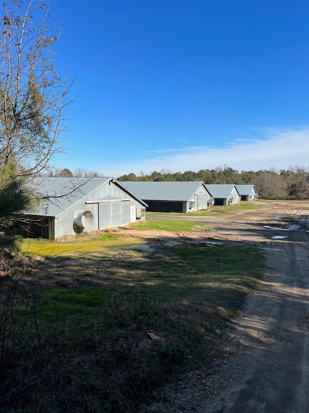 1549 Old Cheraw Hwy, Rockingham, NC 28379 | LandWatch